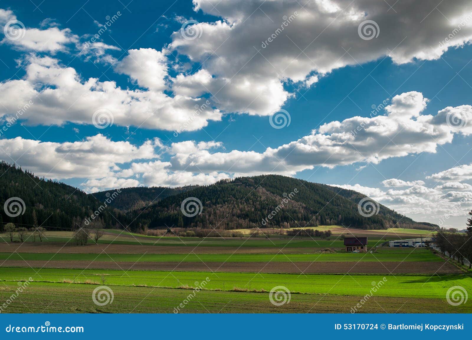 Raven valley, Lubawka stock photo. Image of life, green - 53170724