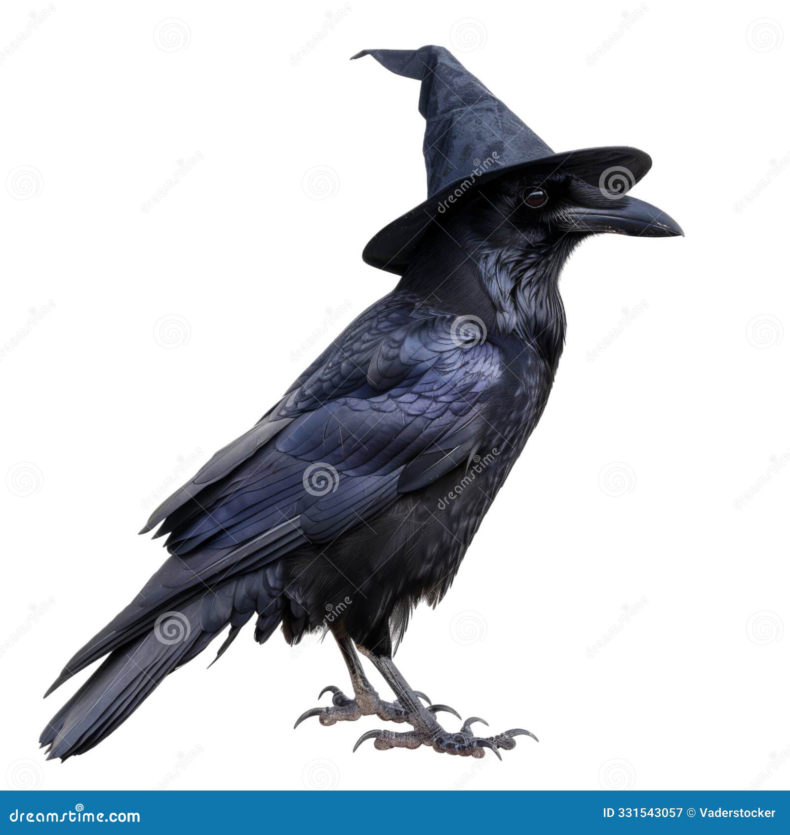 A Raven Wearing a Black Witch S Hat Stock Illustration - Illustration ...