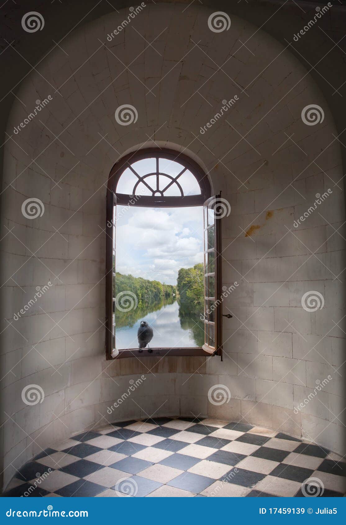 Raven on a window stock image. Image of loire, gray, strength - 17459139