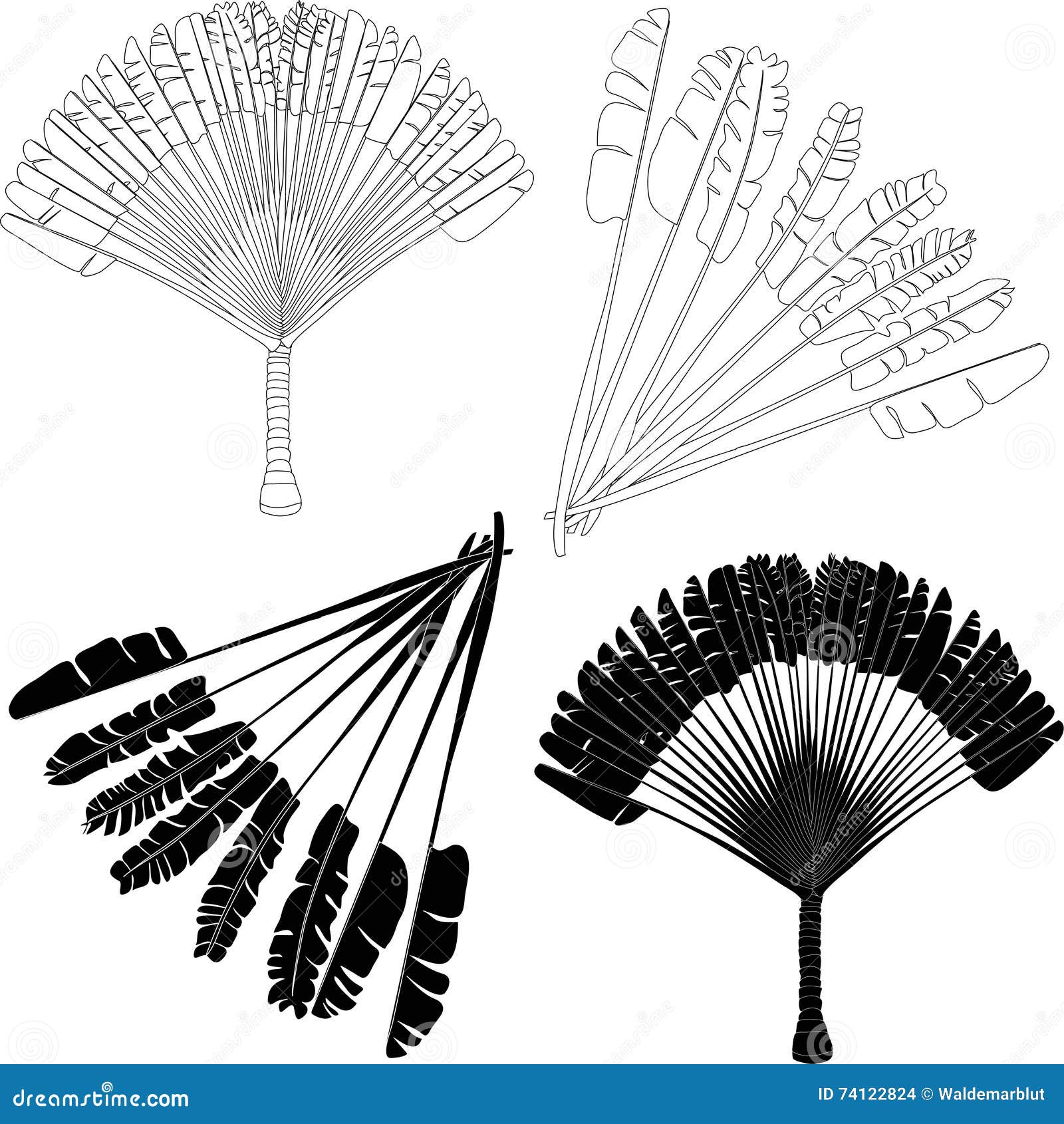 Silhouette Ravenala - Vector Drawing of a Fan Palm Tree Stock Vector ...