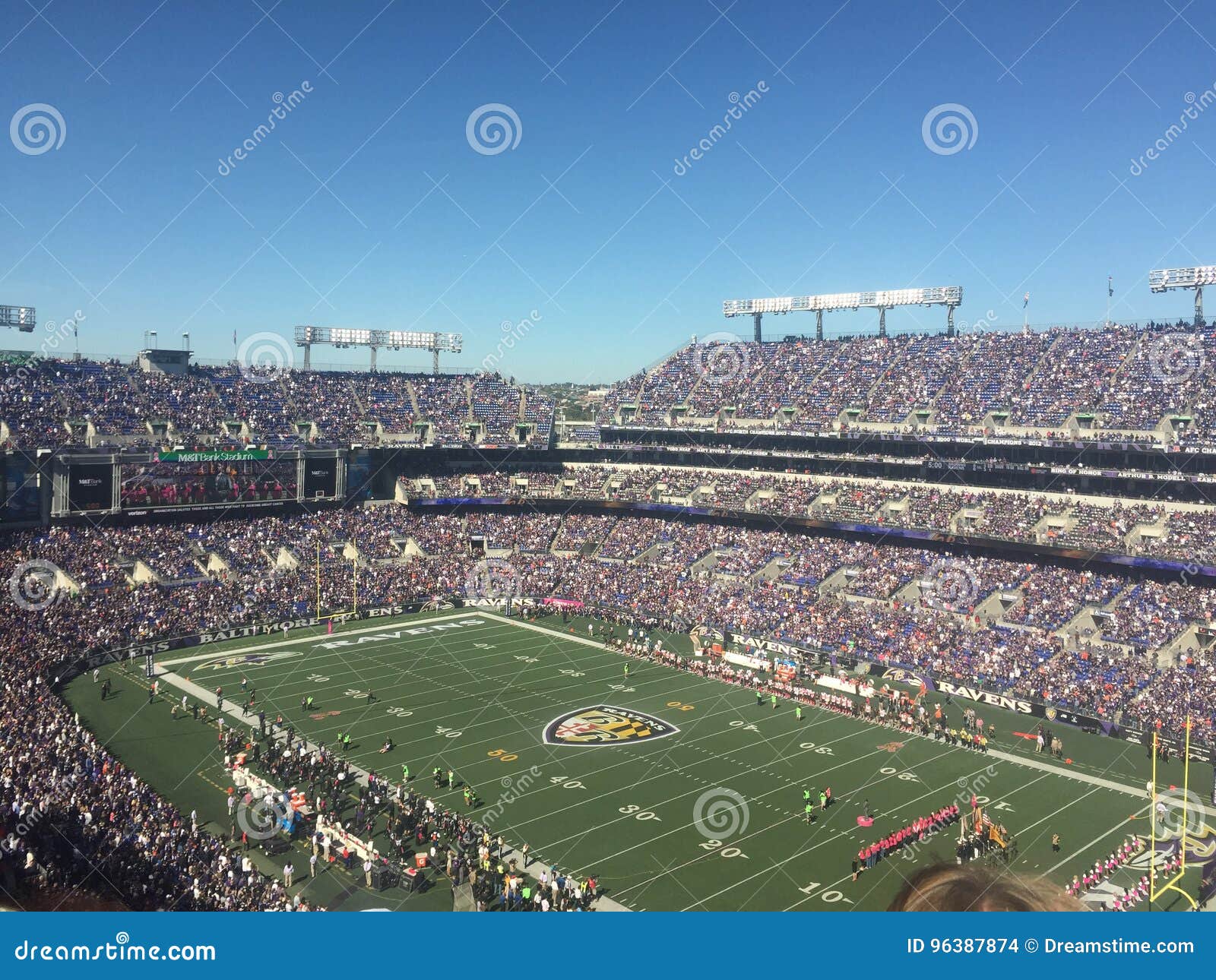 Ravens Baltimore editorial stock image. Image of beautiful - 96387874