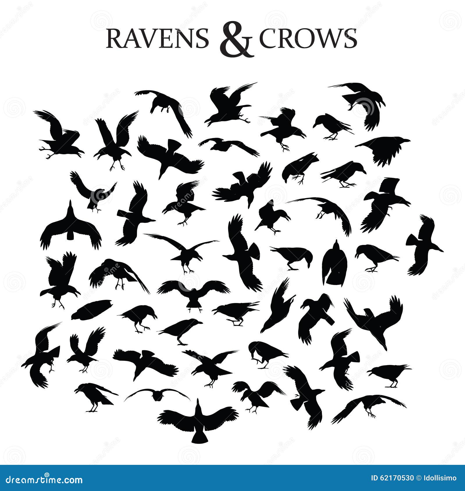 Corvids Cartoons, Illustrations & Vector Stock Images - 50 Pictures to ...