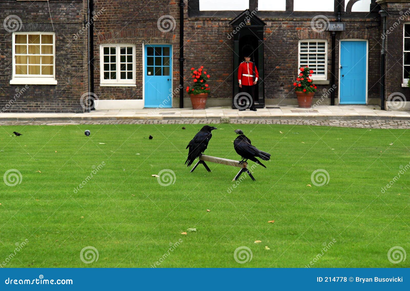 The Ravens at the Tower of London (England) Editorial Stock Photo ...