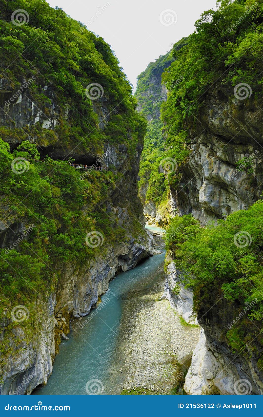 Ravijn stock foto. Image of boom, berg, bezoek, krommingen - 21536122