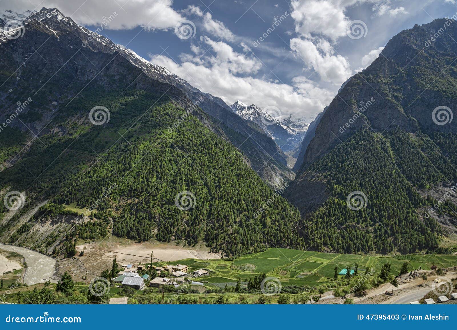 Ravijn Met Groene Bos En Gebieden Stock Afbeelding - Image of ...