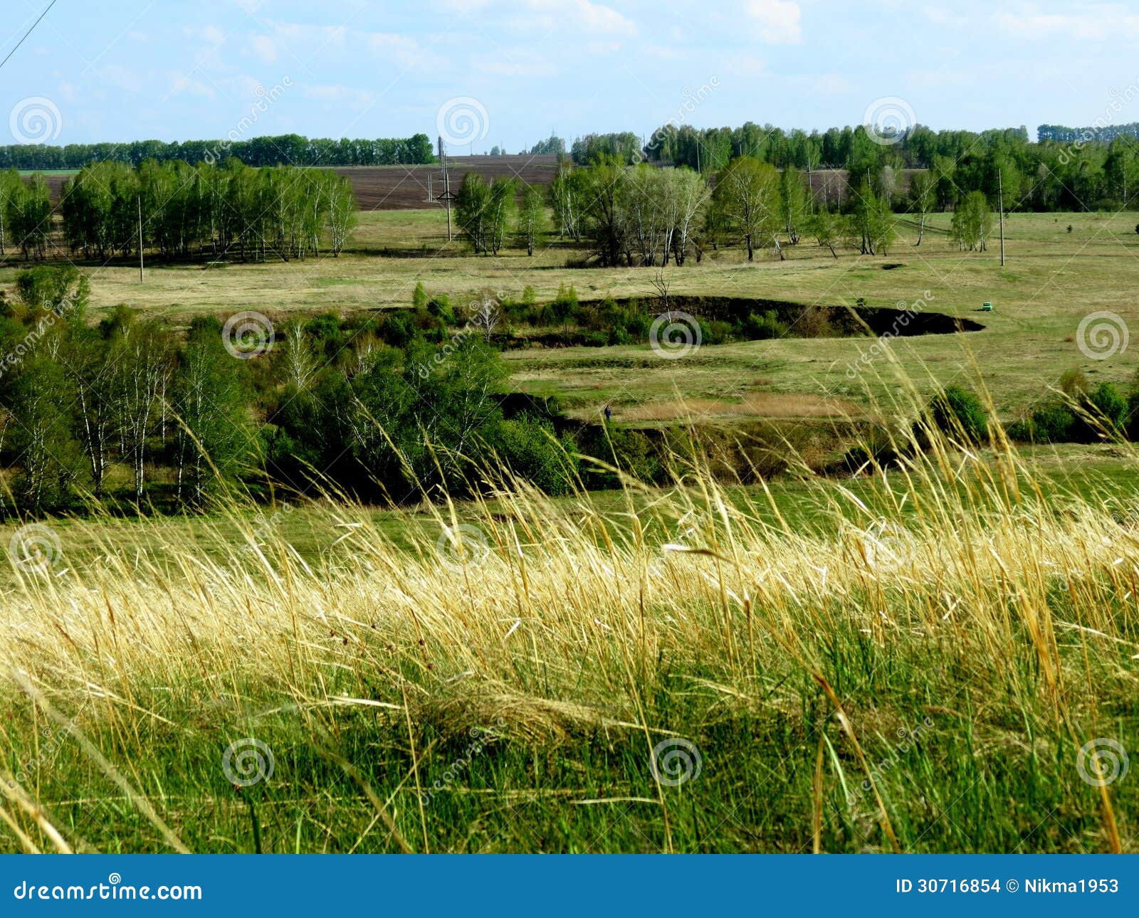 Ravijnen van bos-steppen stock foto. Image of nave, landschap - 30716854