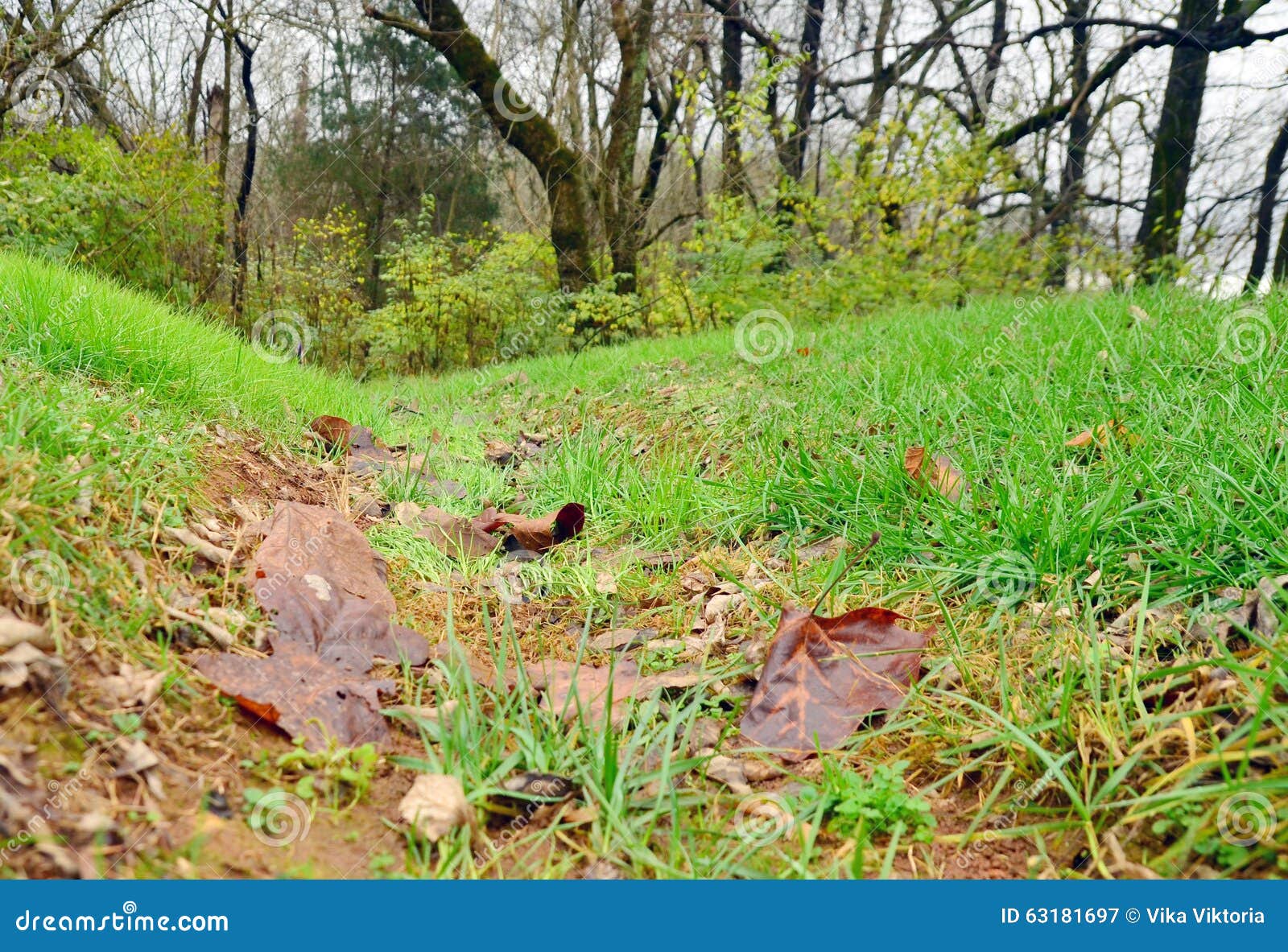 Ravina imagem de stock. Imagem de rochoso, grama, ravina - 63181697