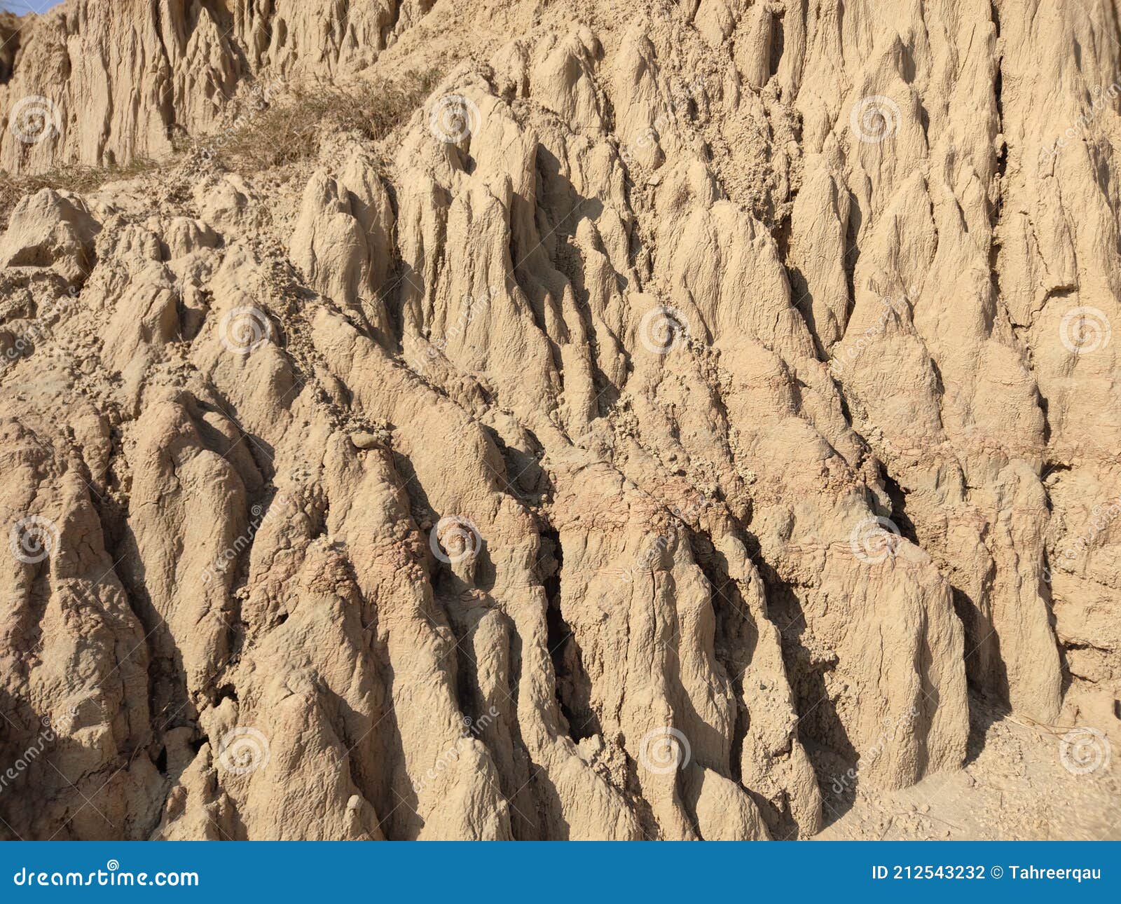 3,721 Ravinas Fotos - Fotos de Stock Gratuitas e Fotos Royalty-Free ...