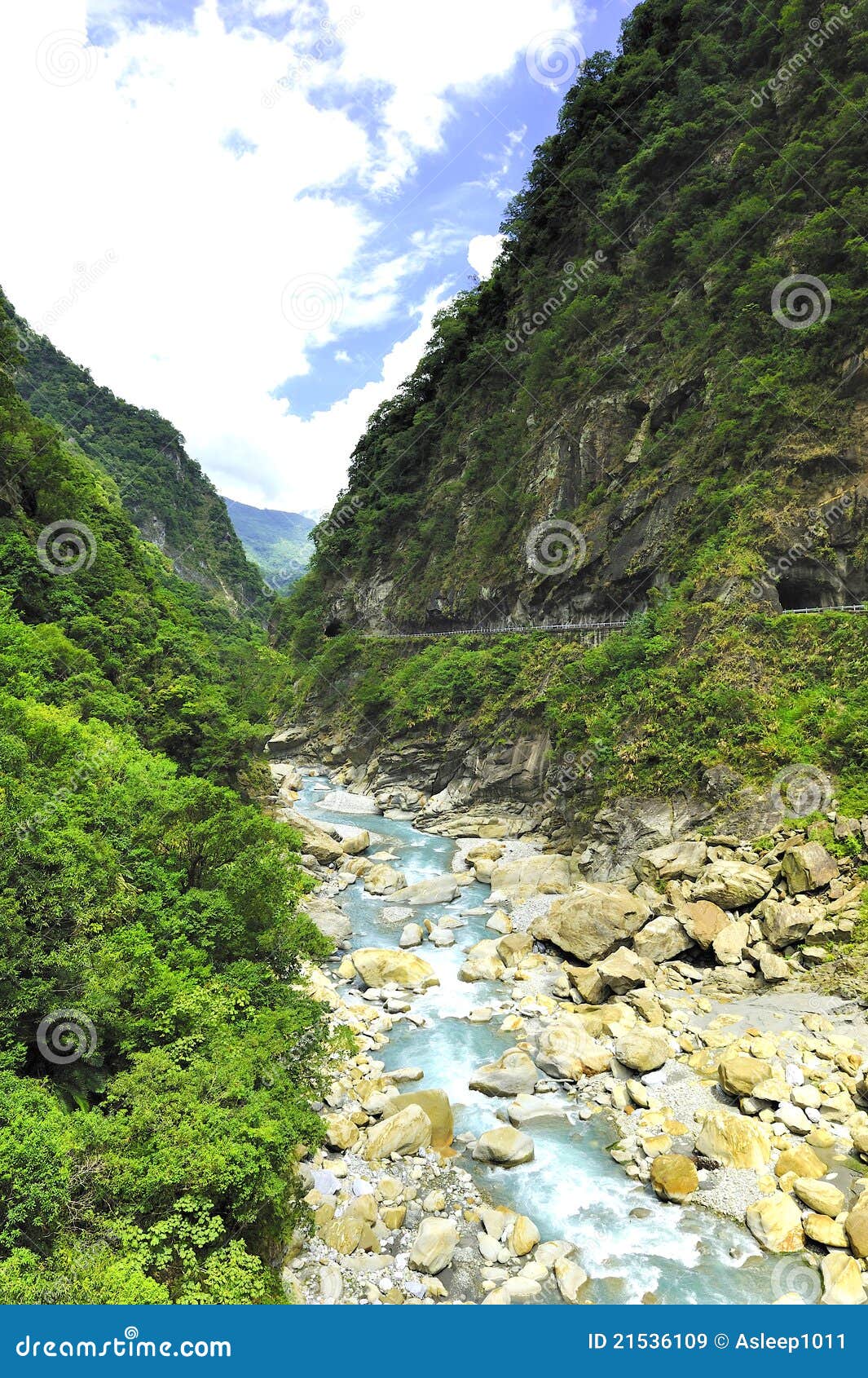 Ravine stock image. Image of view, outdoor, tree, river - 21536109