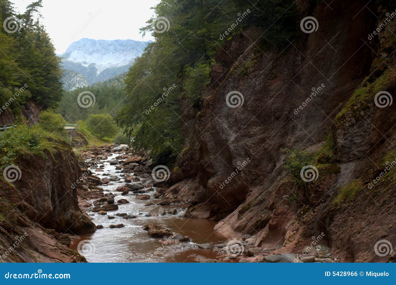 Ravine stock photo. Image of continental, europe, hiking - 5428966