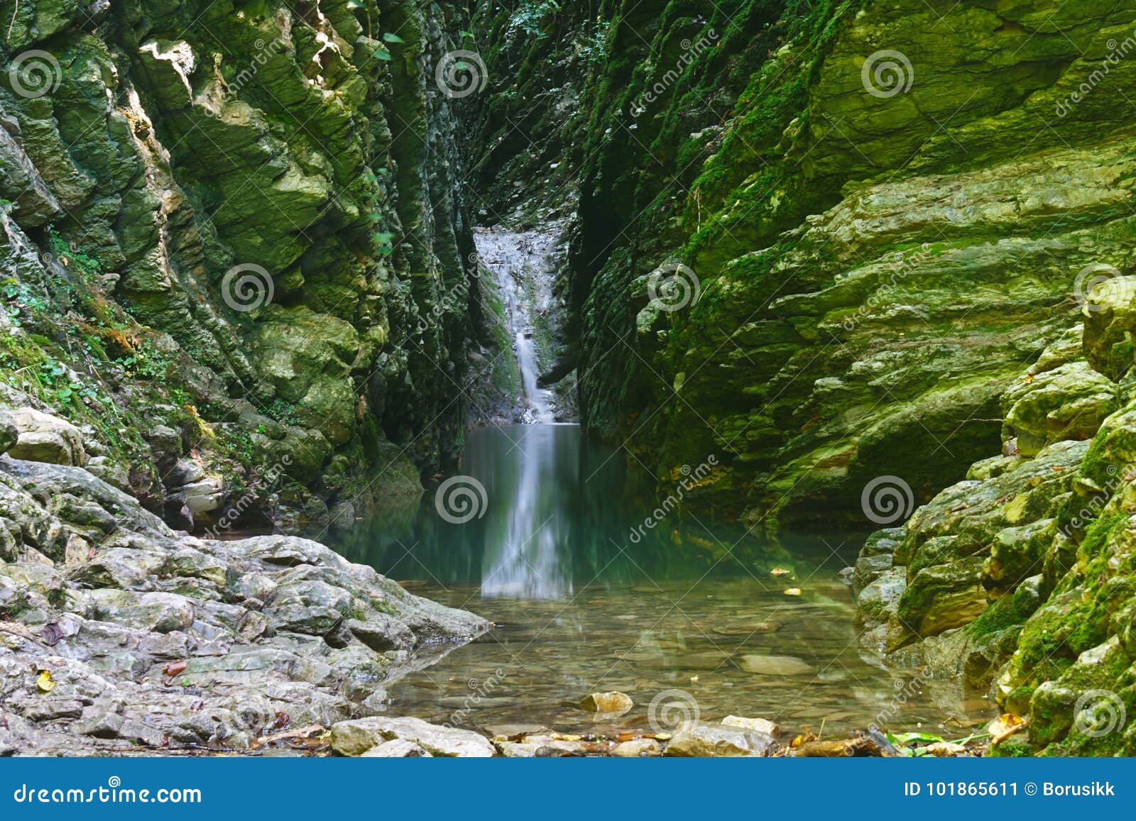 Ravine Covered with Moss and Ivy with a Calm River and Small Waterfall ...