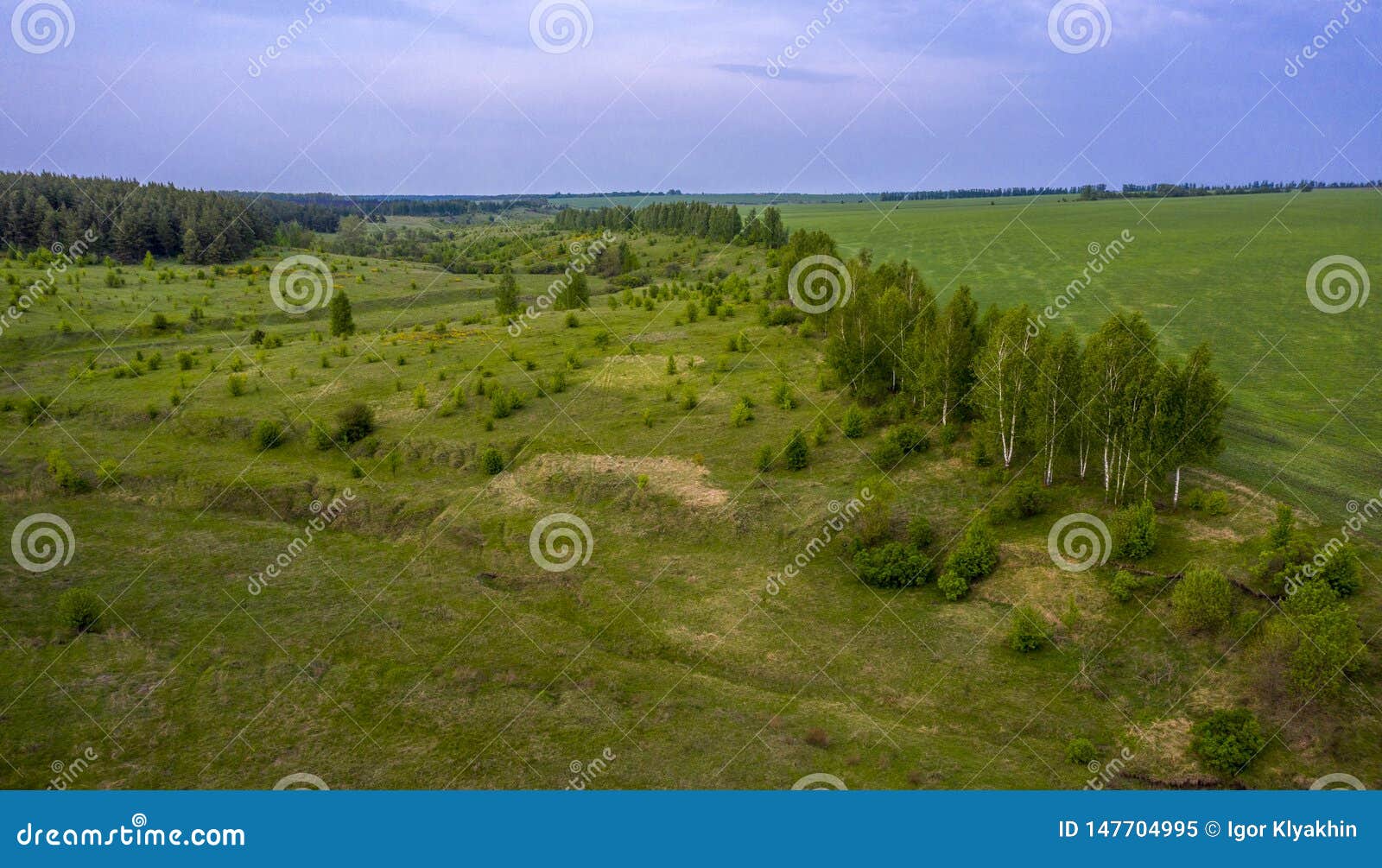 Ravine, Field, Forest with a Bird`s Eye in the Evening Light Stock ...