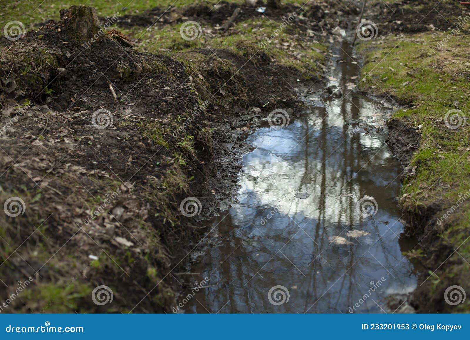 A Ravine Filled with Water. a Puddle in Nature Stock Image - Image of ...