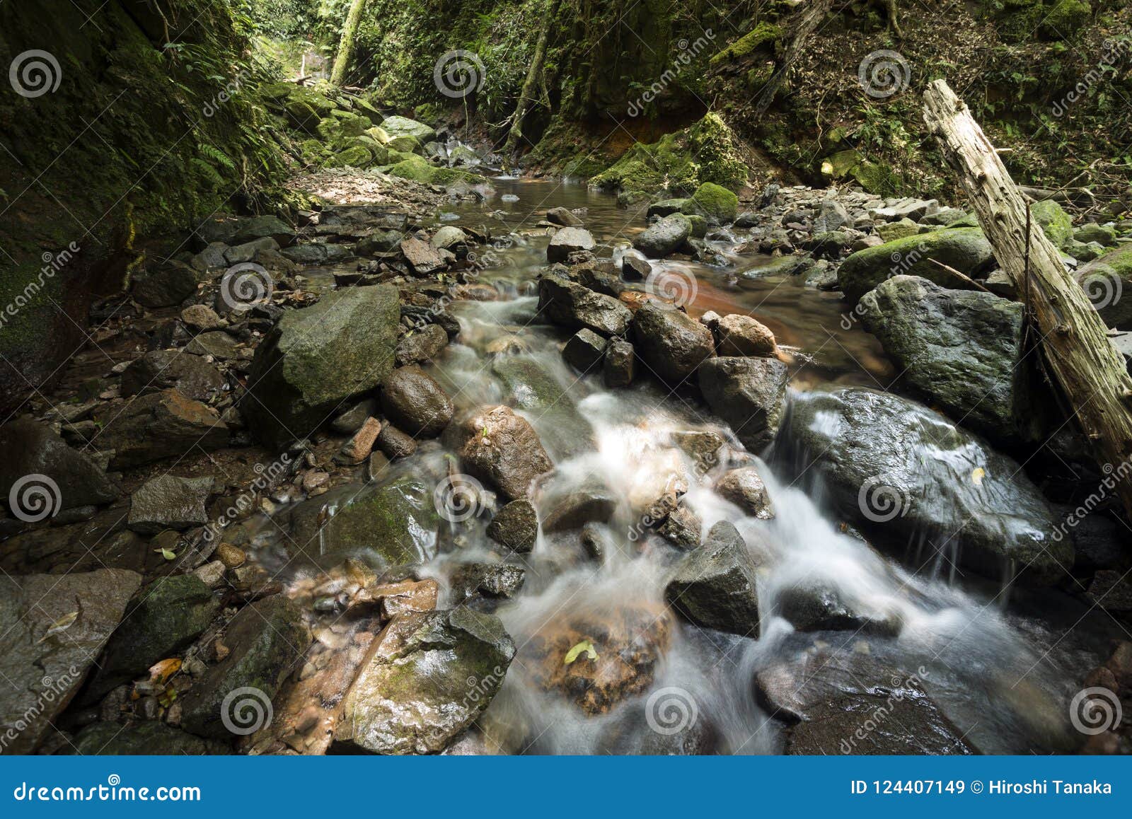 Ravine flowing thin brook stock image. Image of natural - 124407149