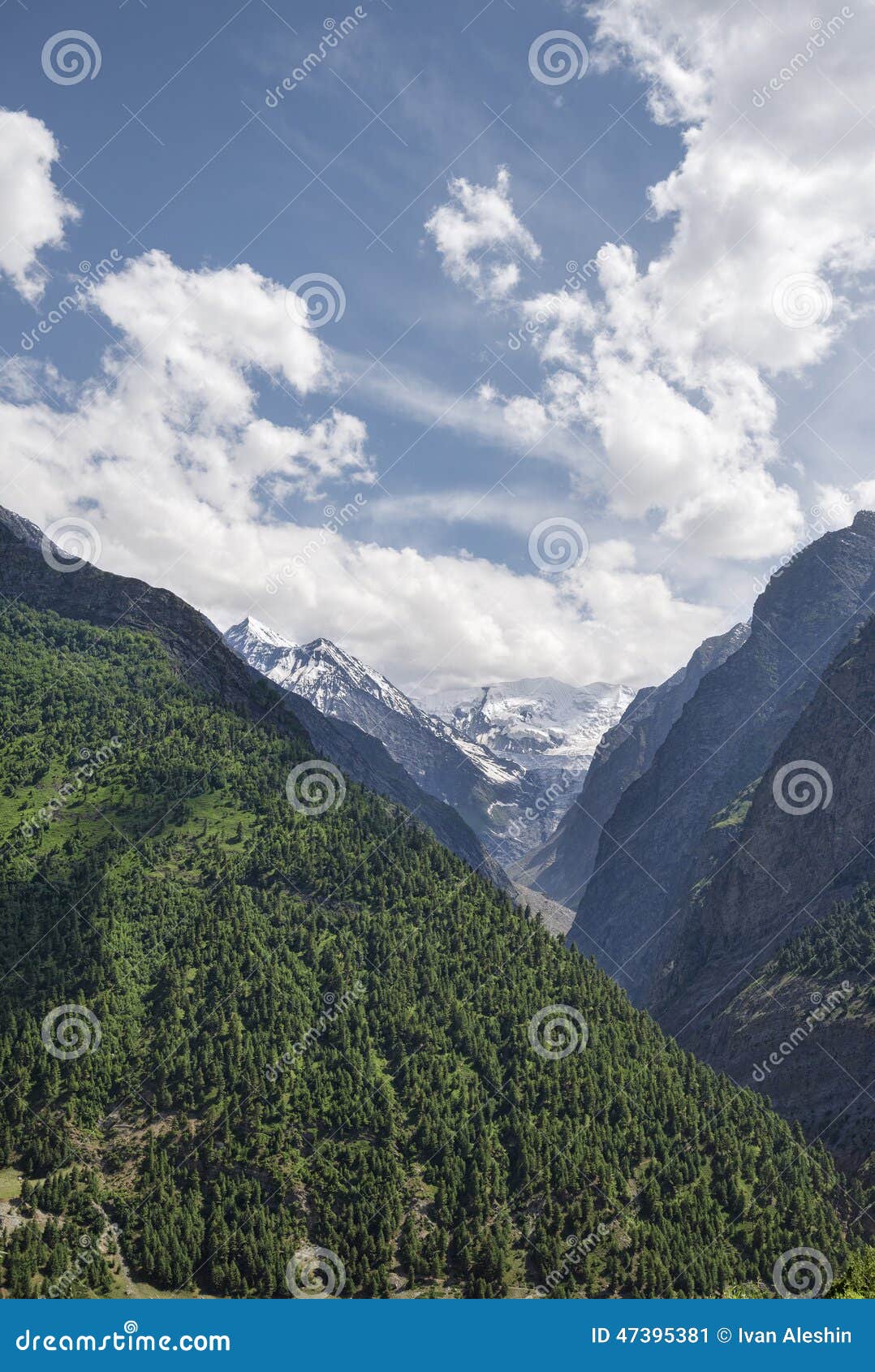 Ravine Forest on Slope and Glacier Stock Image - Image of hill, india ...
