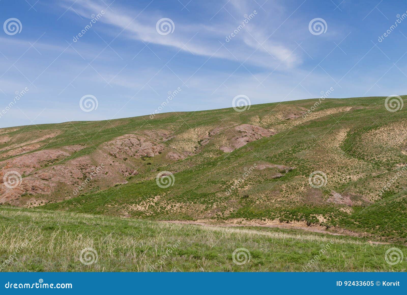 Ravine in the green steppe stock image. Image of nature - 92433605