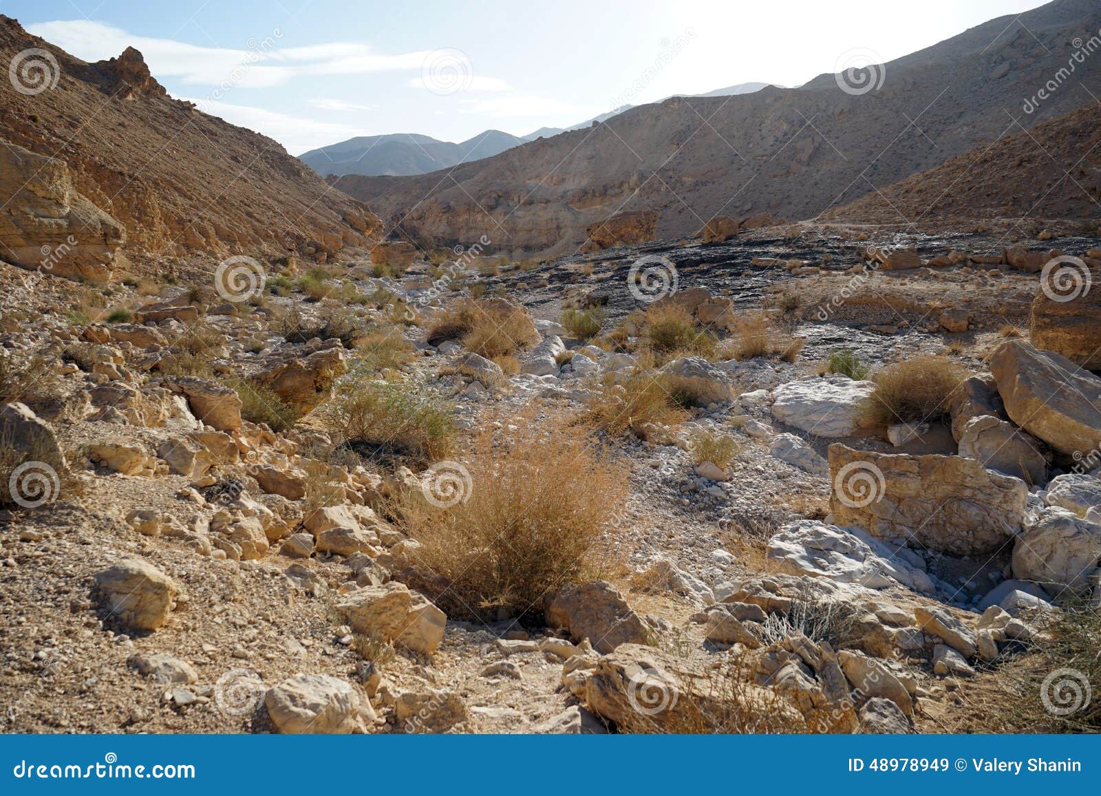 Ravine stock image. Image of landmarks, cliff, climate - 48978949