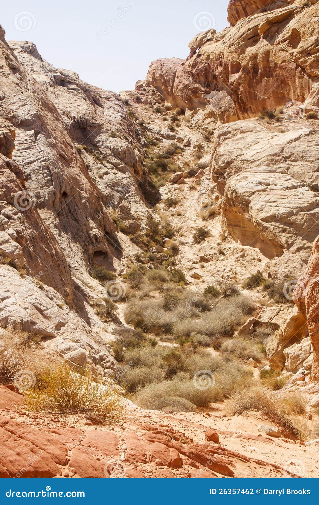 Ravine up Red Rock Canyon stock photo. Image of erosion - 26357462