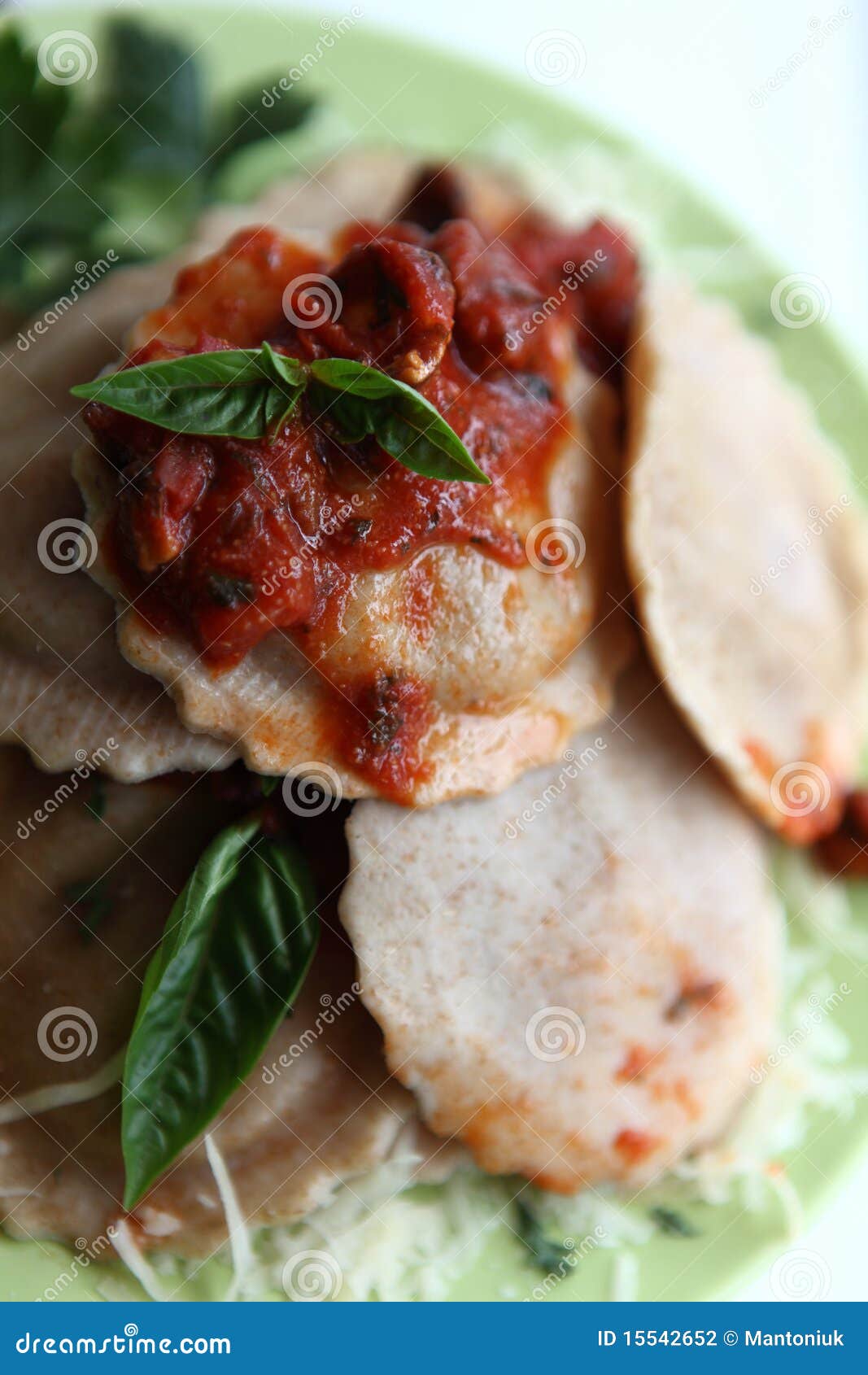 Ravioli stock photo. Image of green, parmesan, meal, souce - 15542652