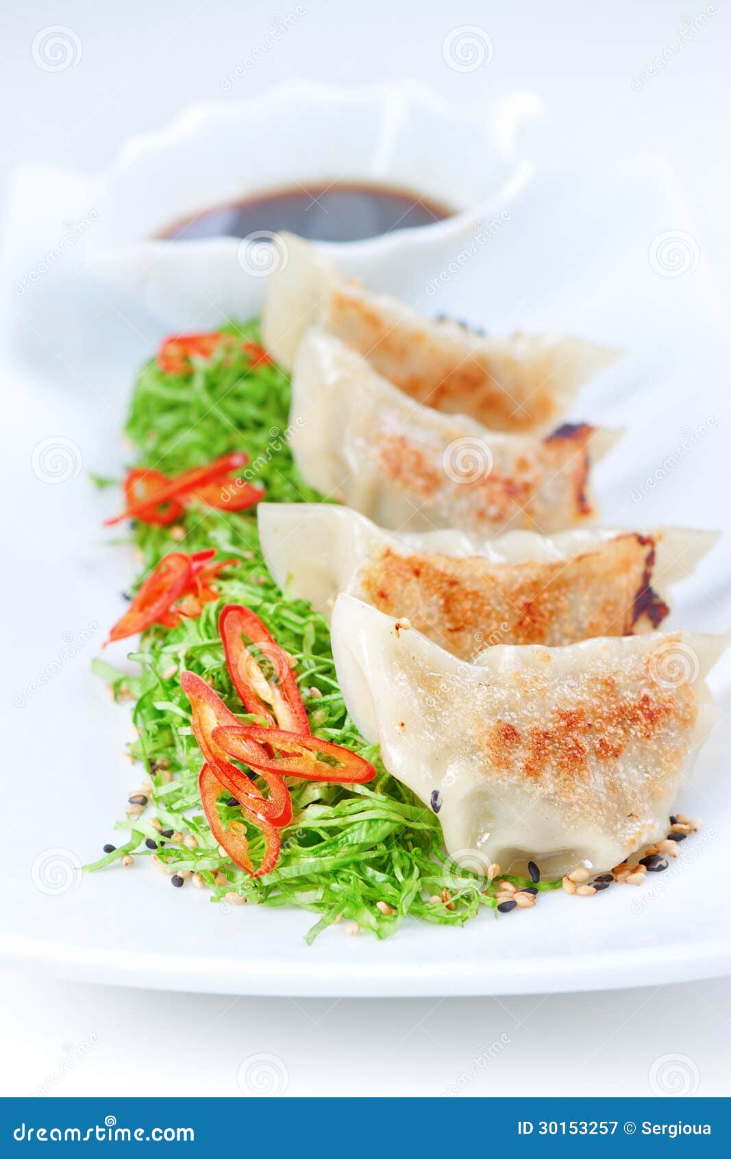 Ravioli Dumplings and Cabbage Salad. Stock Image - Image of cooking ...
