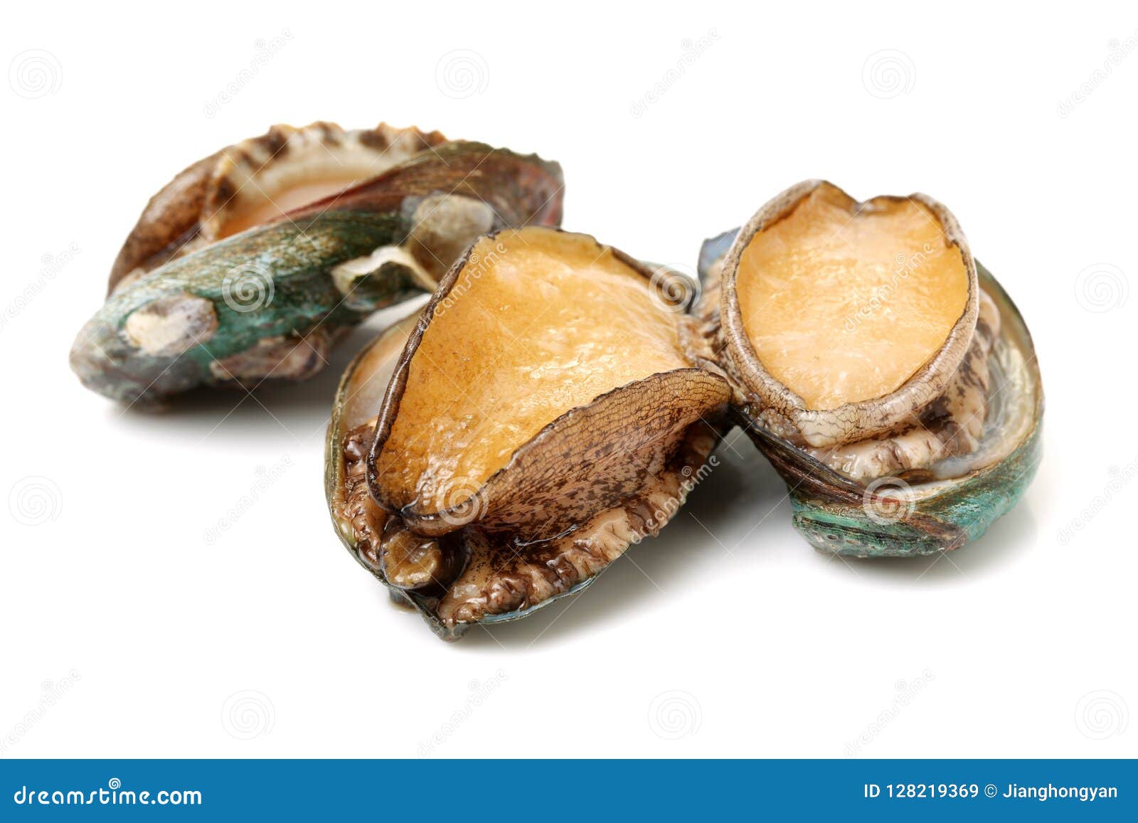 Raw abalone stock image. Image of white, shell, closeup - 128219369