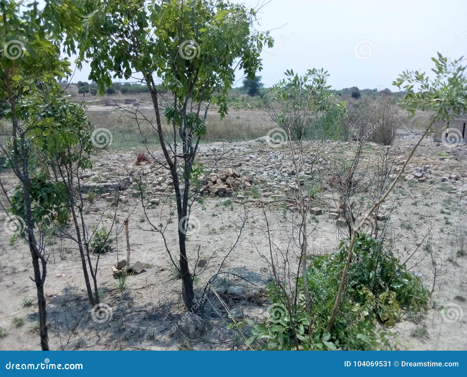 Raw africa stock image. Image of africa, scape, land - 104069531