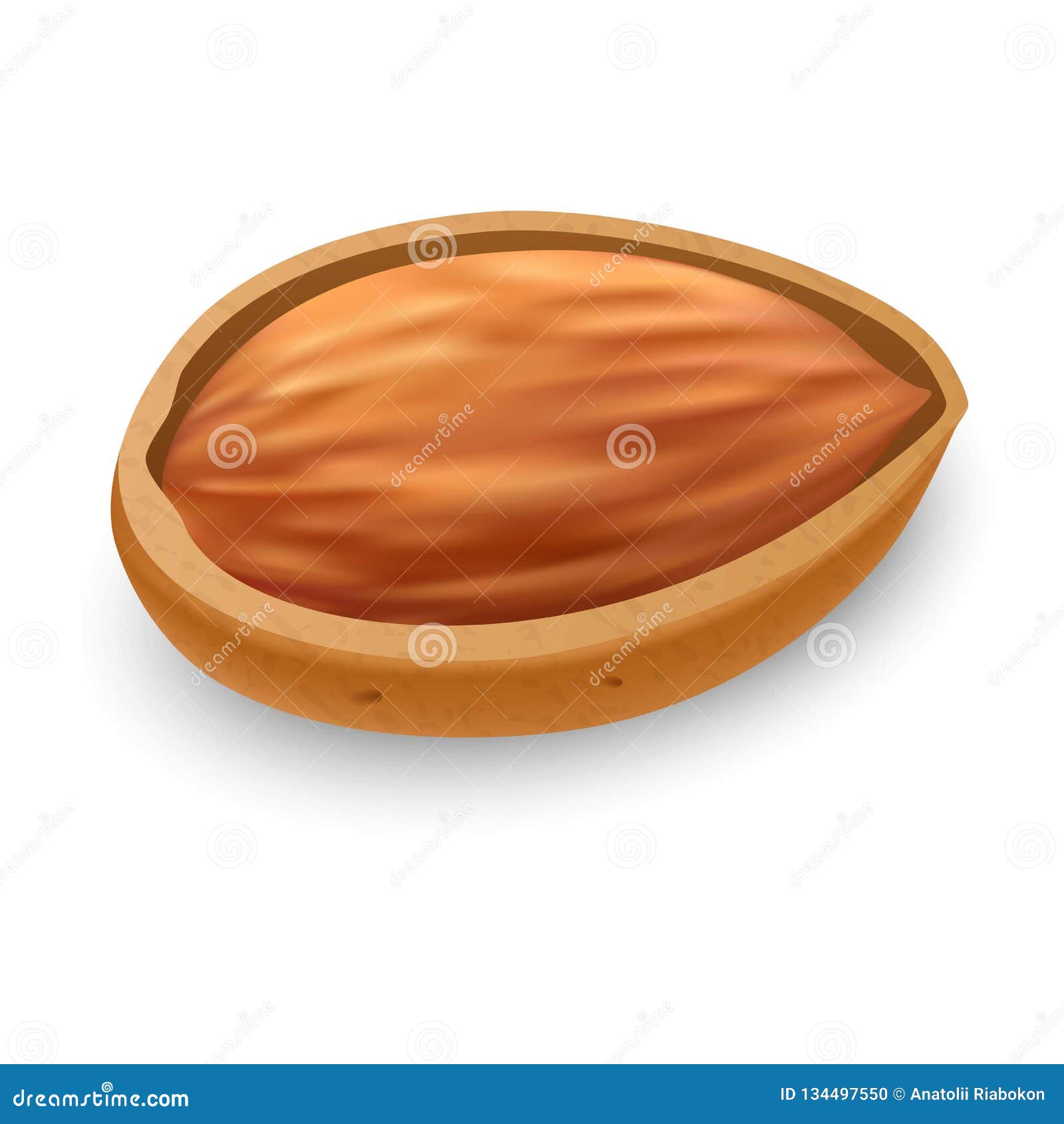 Raw Almond Icon, Realistic Style Stock Vector - Illustration of ...