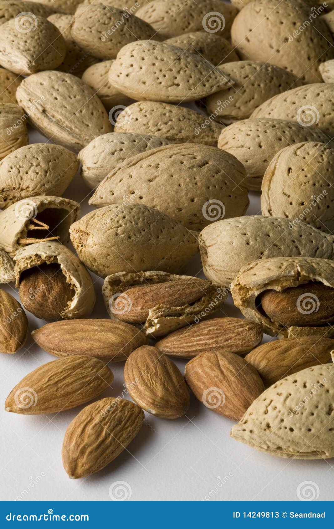 Raw almonds stock image. Image of shell, salted, edible - 14249813