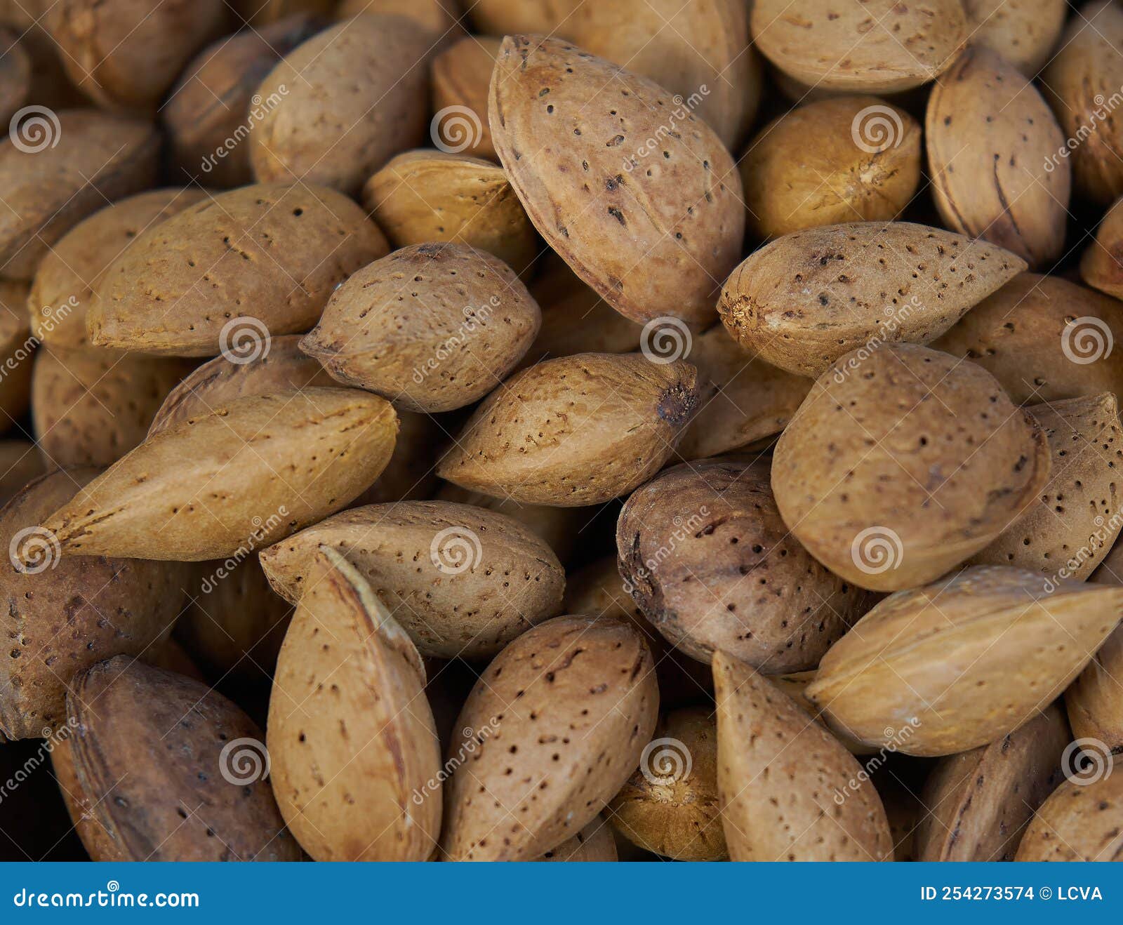 Raw almonds in shell stock photo. Image of seed, fresh - 254273574