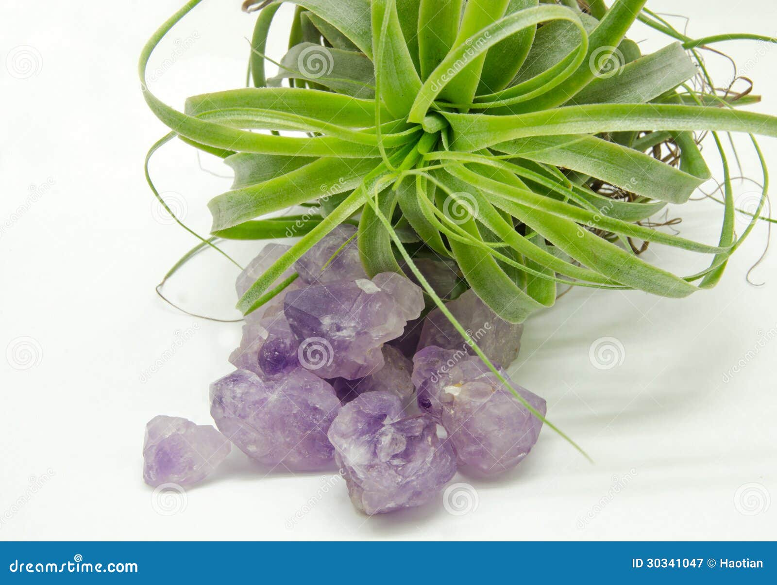 Raw Amethyst stock image. Image of nature, geode, amethyst - 30341047