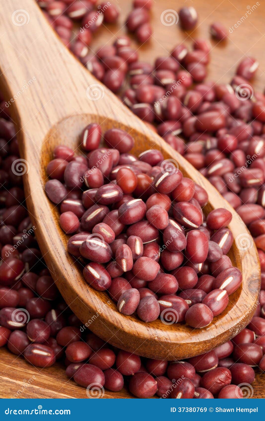 Raw azuki beans stock image. Image of macro, legume, brown - 37380769
