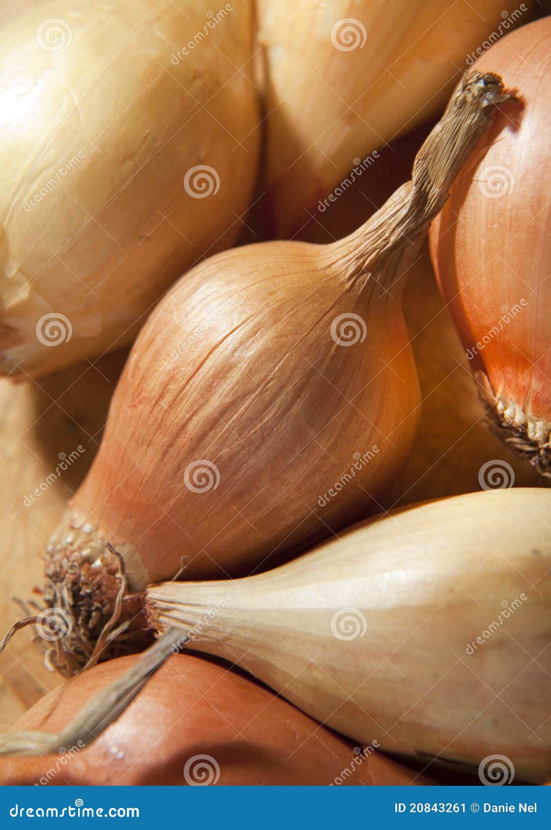 Raw baby onions stock image. Image of organic, vegan - 20843261