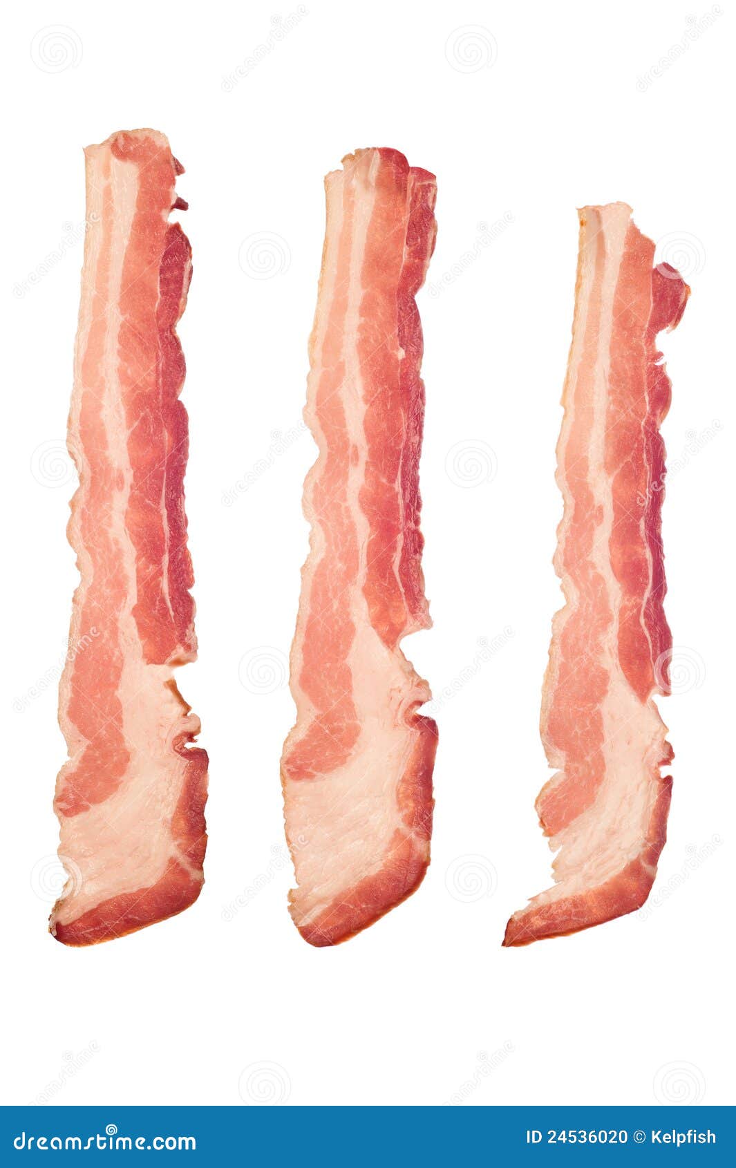 Raw bacon stock photo. Image of fattening, bacon, swine - 24536020