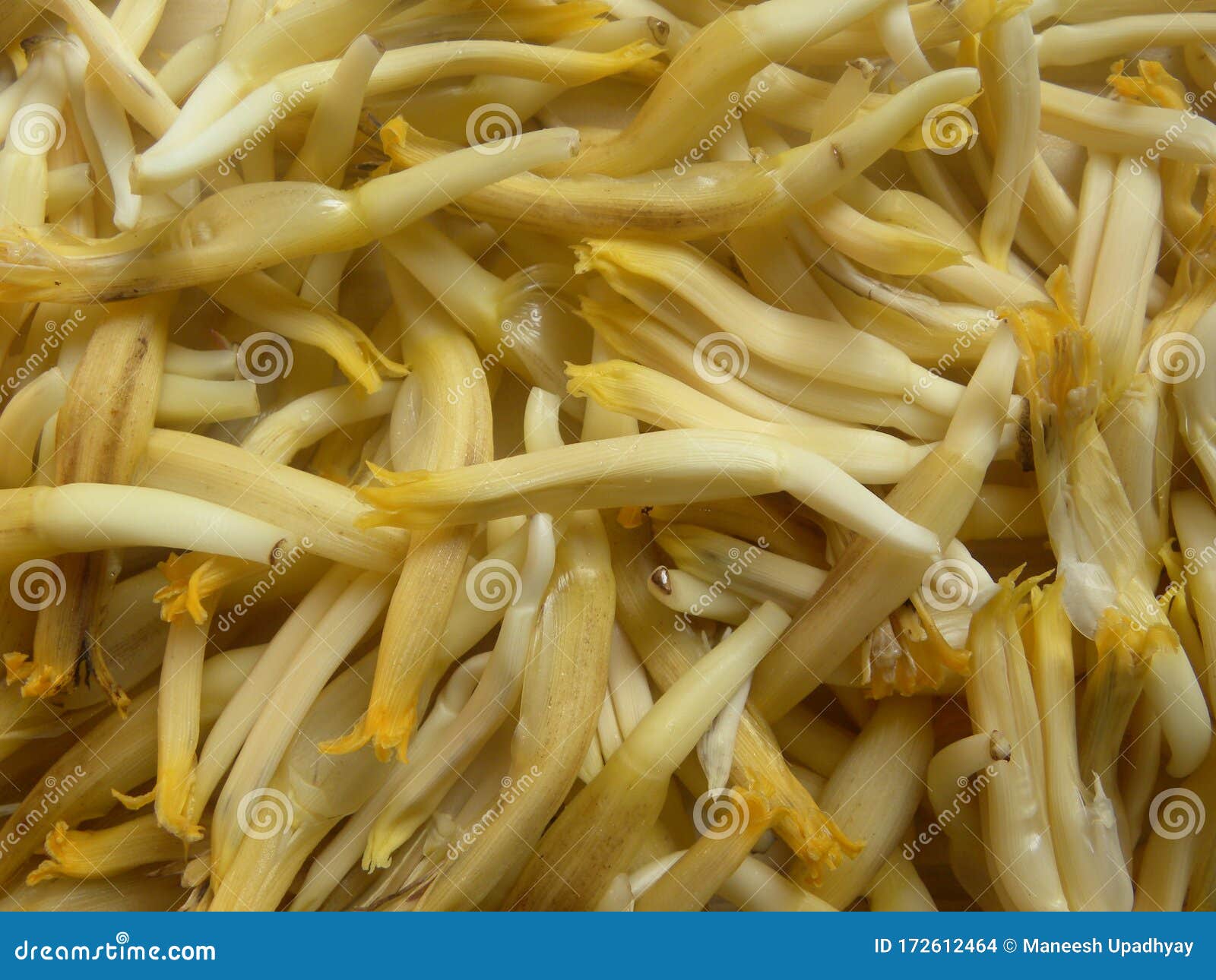 Raw Banana florets stock photo. Image of beauty, flowers - 172612464