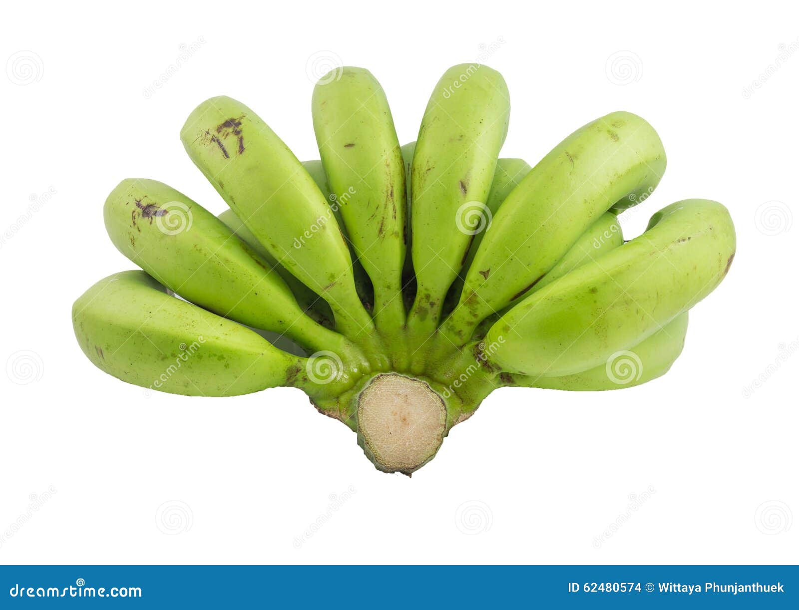 Raw bananas stock photo. Image of yummy, ripe, green - 62480574