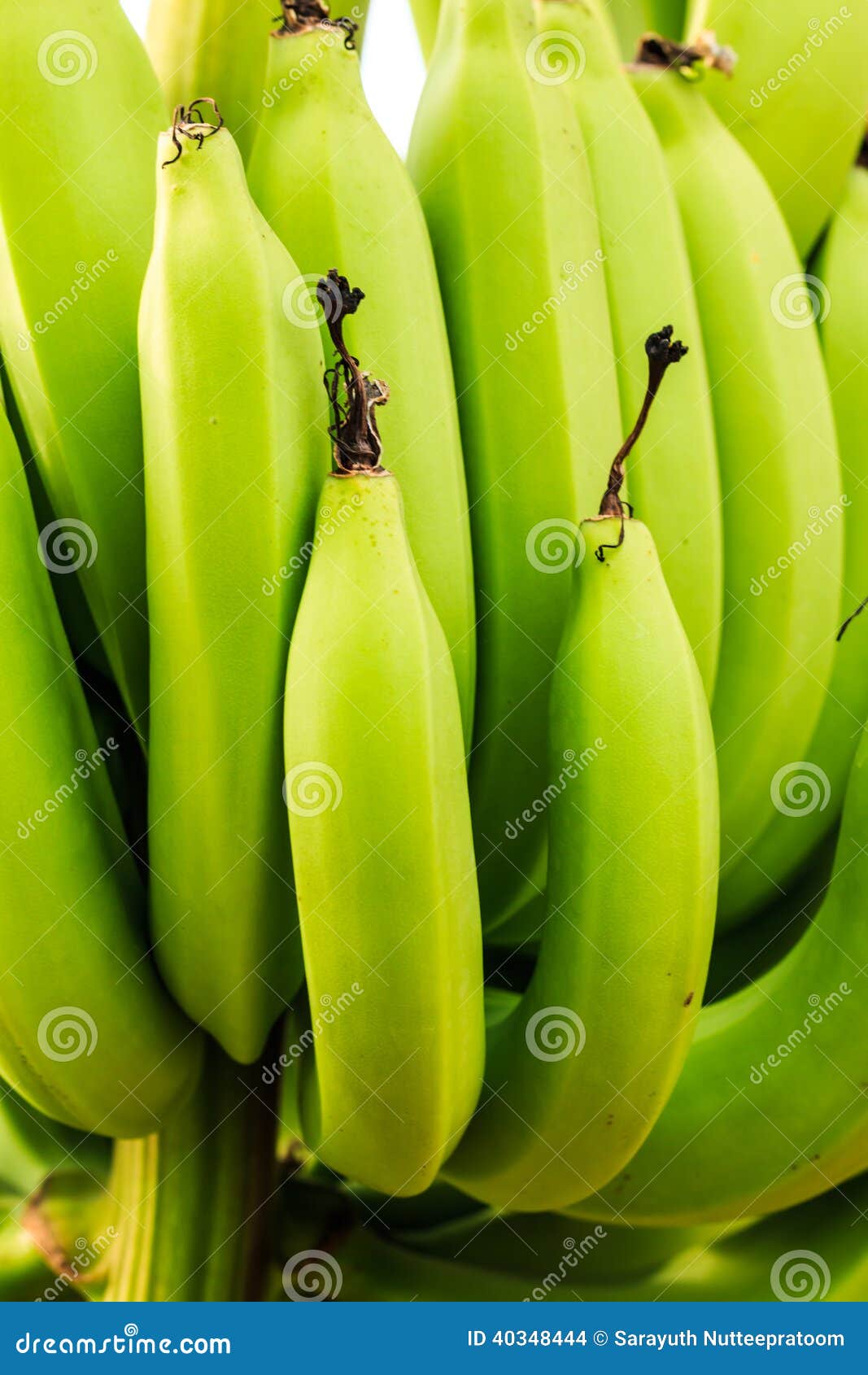 Raw bananas stock photo. Image of green, eating, natural - 40348444