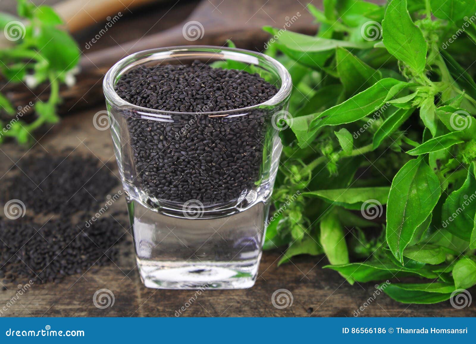 Raw Basil Seed, Herb in Thai Stock Photo - Image of fiber, aids: 86566186
