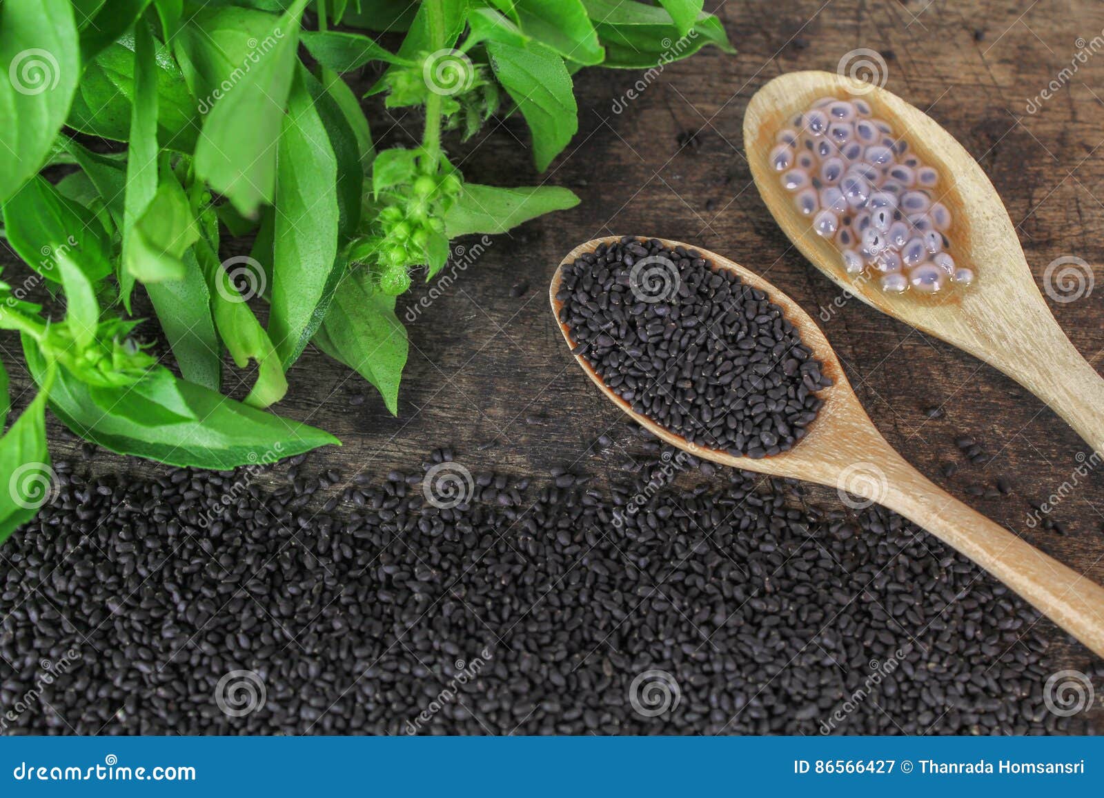 Raw Basil Seed, Herb in Thai Stock Image - Image of eating, clean: 86566427