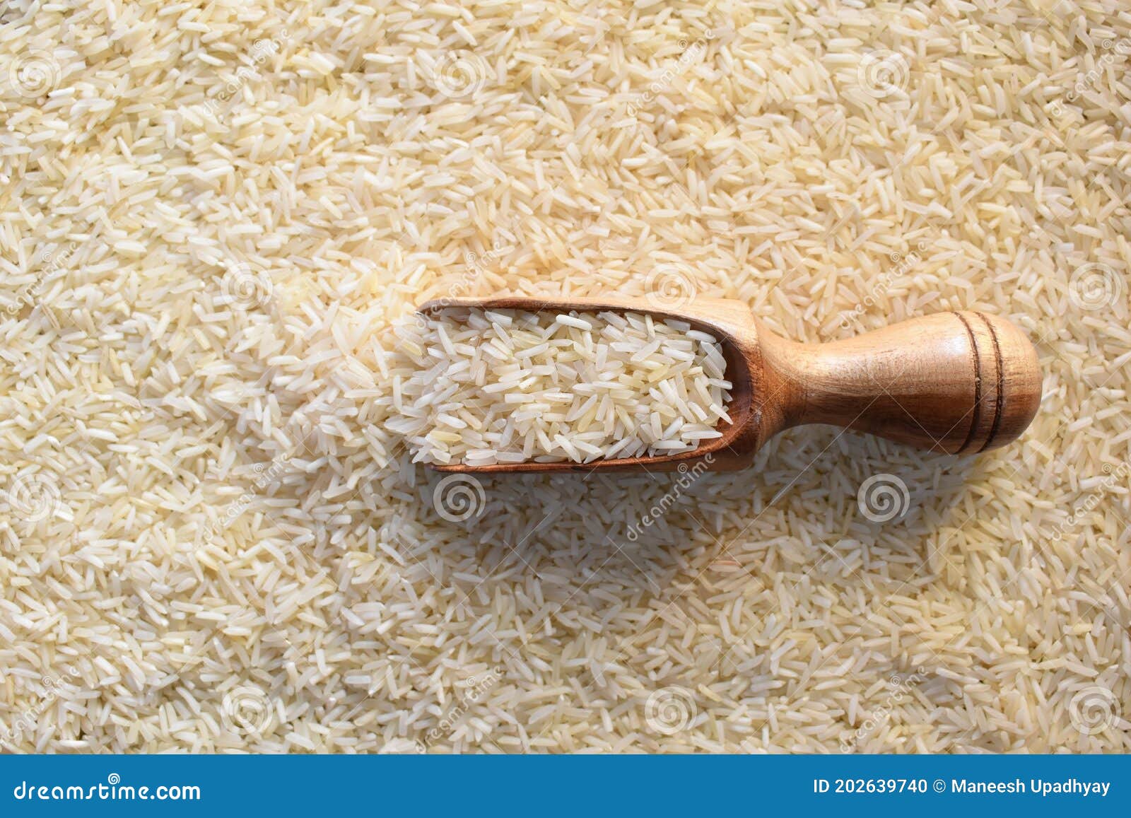 Raw Basmati aromatic rice stock photo. Image of healthy - 202639740