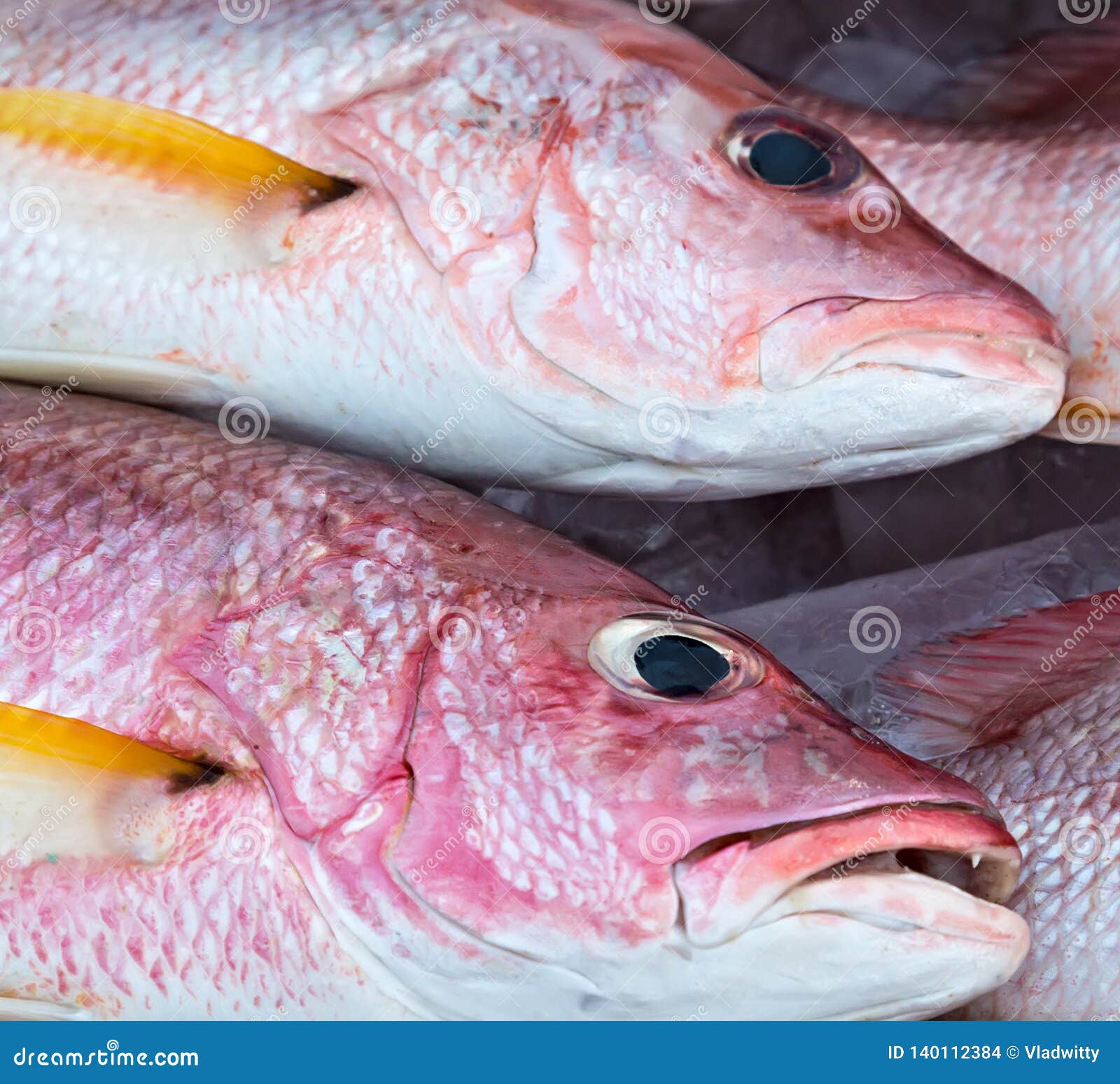 Raw Bass and Bream Fresh Fish Stock Photo - Image of freshness, food ...