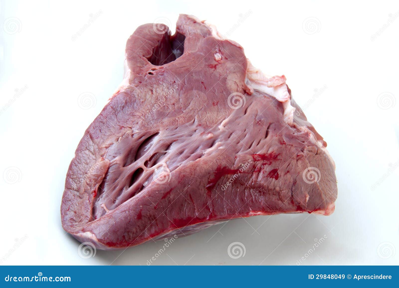 Raw beef heart - meat stock image. Image of heart, uncooked - 29848049