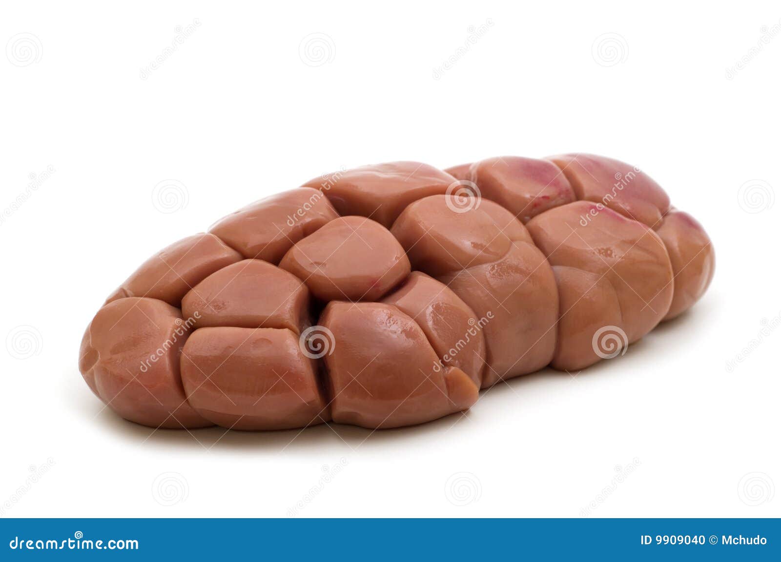 Raw beef kidney stock photo. Image of animal, organ, meat - 9909040