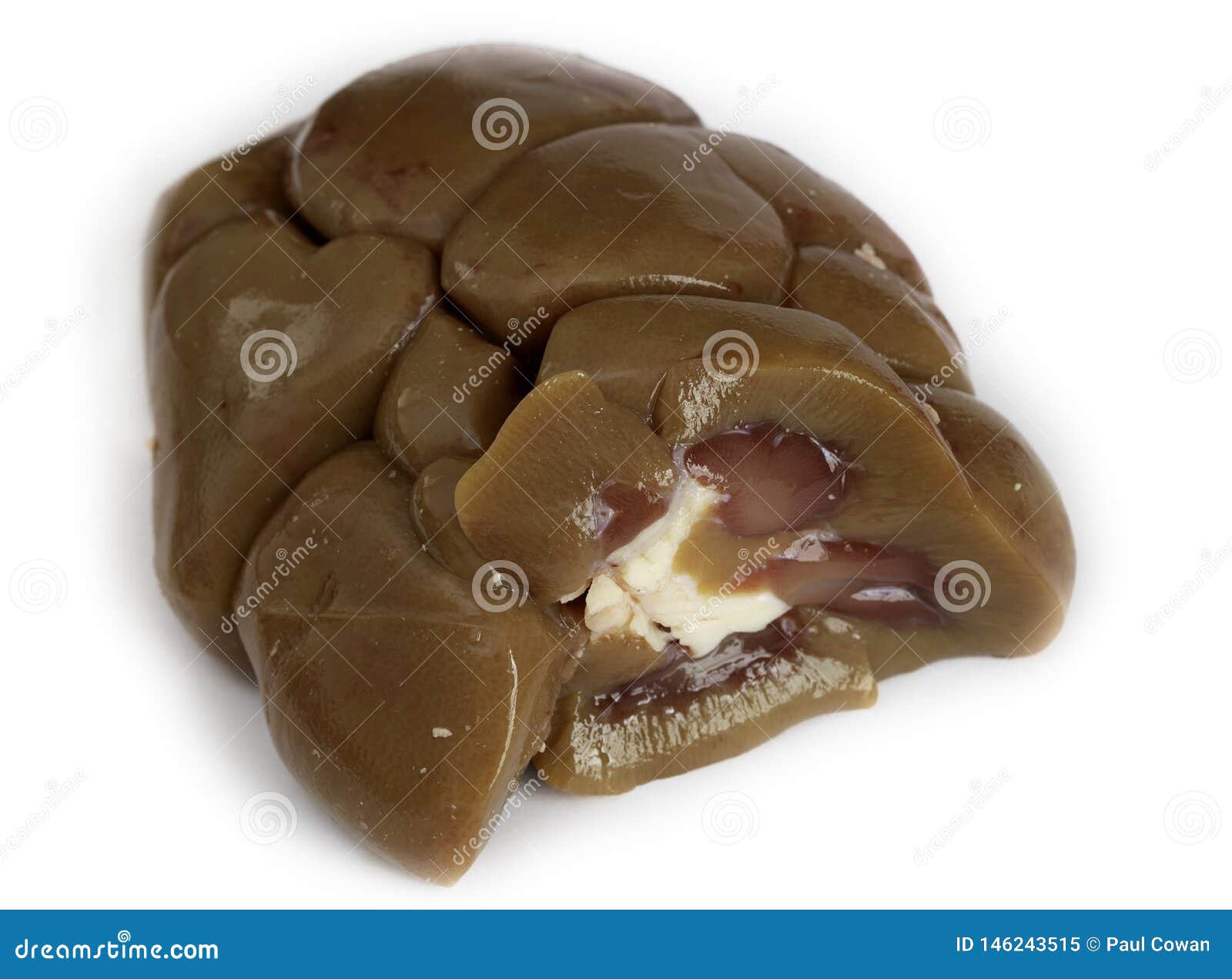 Raw beef kidney on white stock image. Image of offal - 146243515