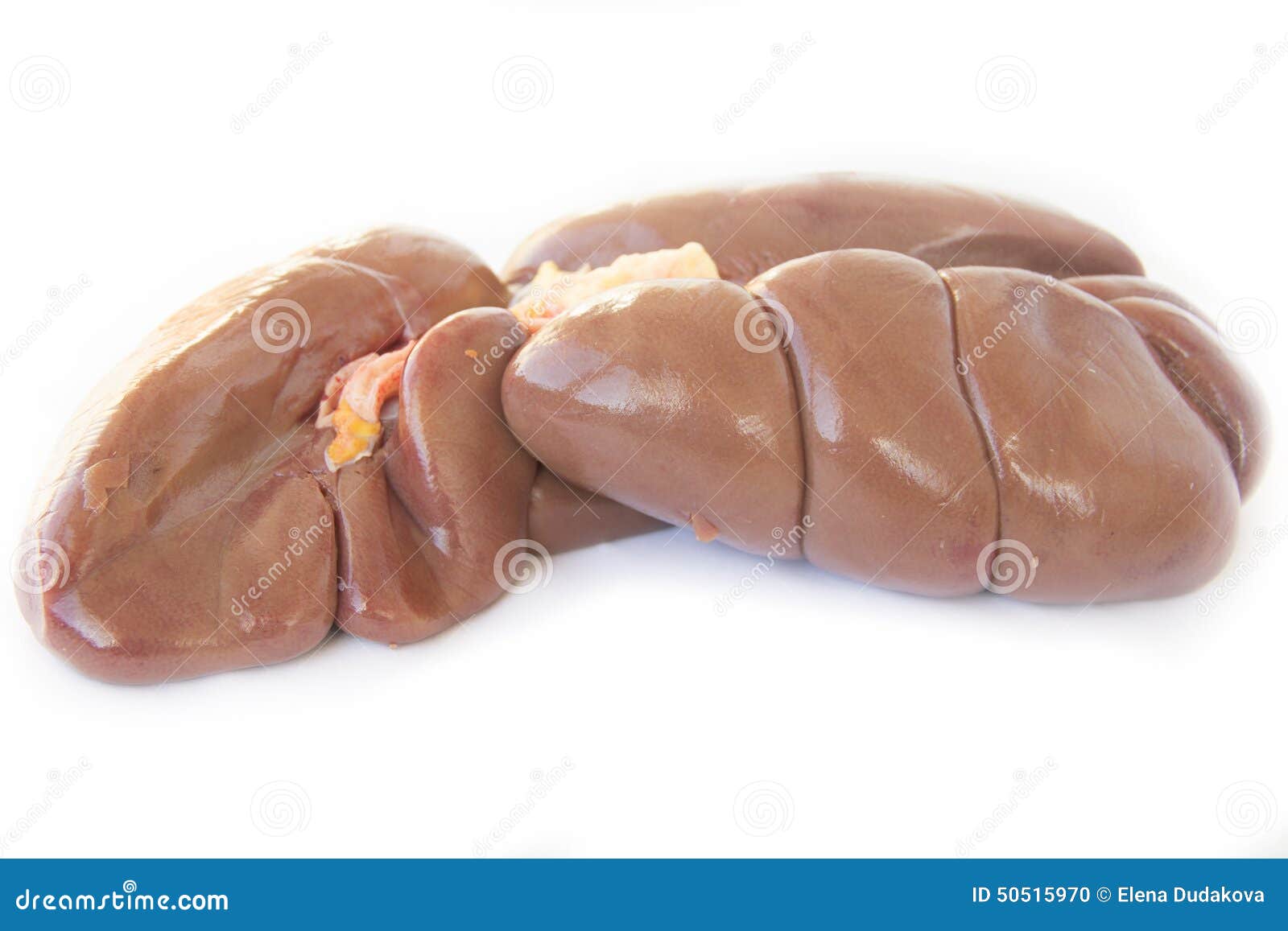 Raw beef kidney stock photo. Image of meat, organ, food - 50515970