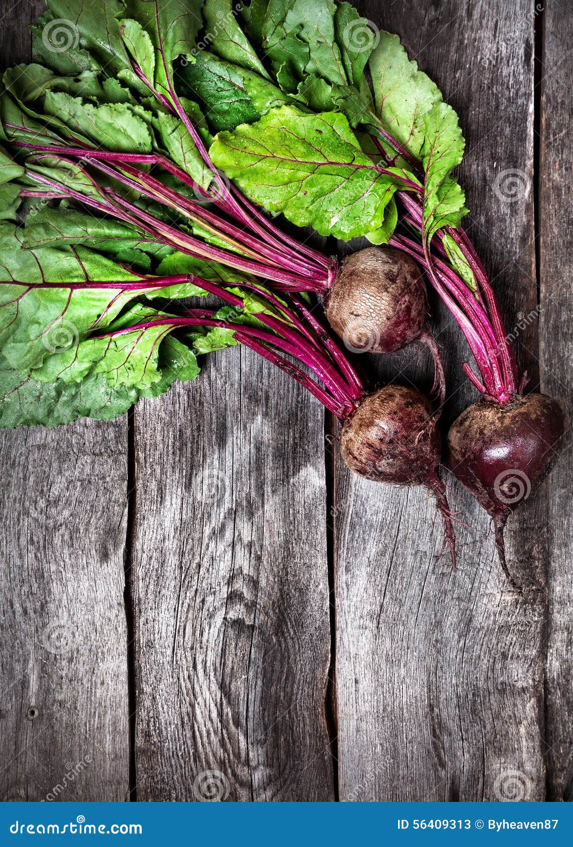 Raw beetroot stock image. Image of agriculture, cook - 56409313