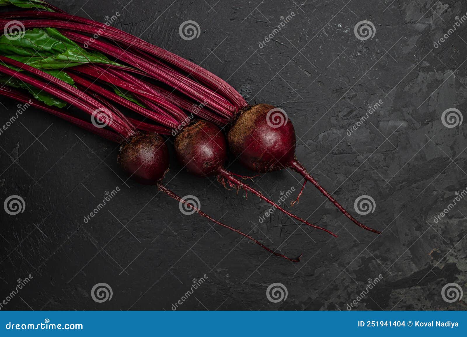 Raw Beetroot with Herbage Leaves on a Dark Background. Banner, Menu ...