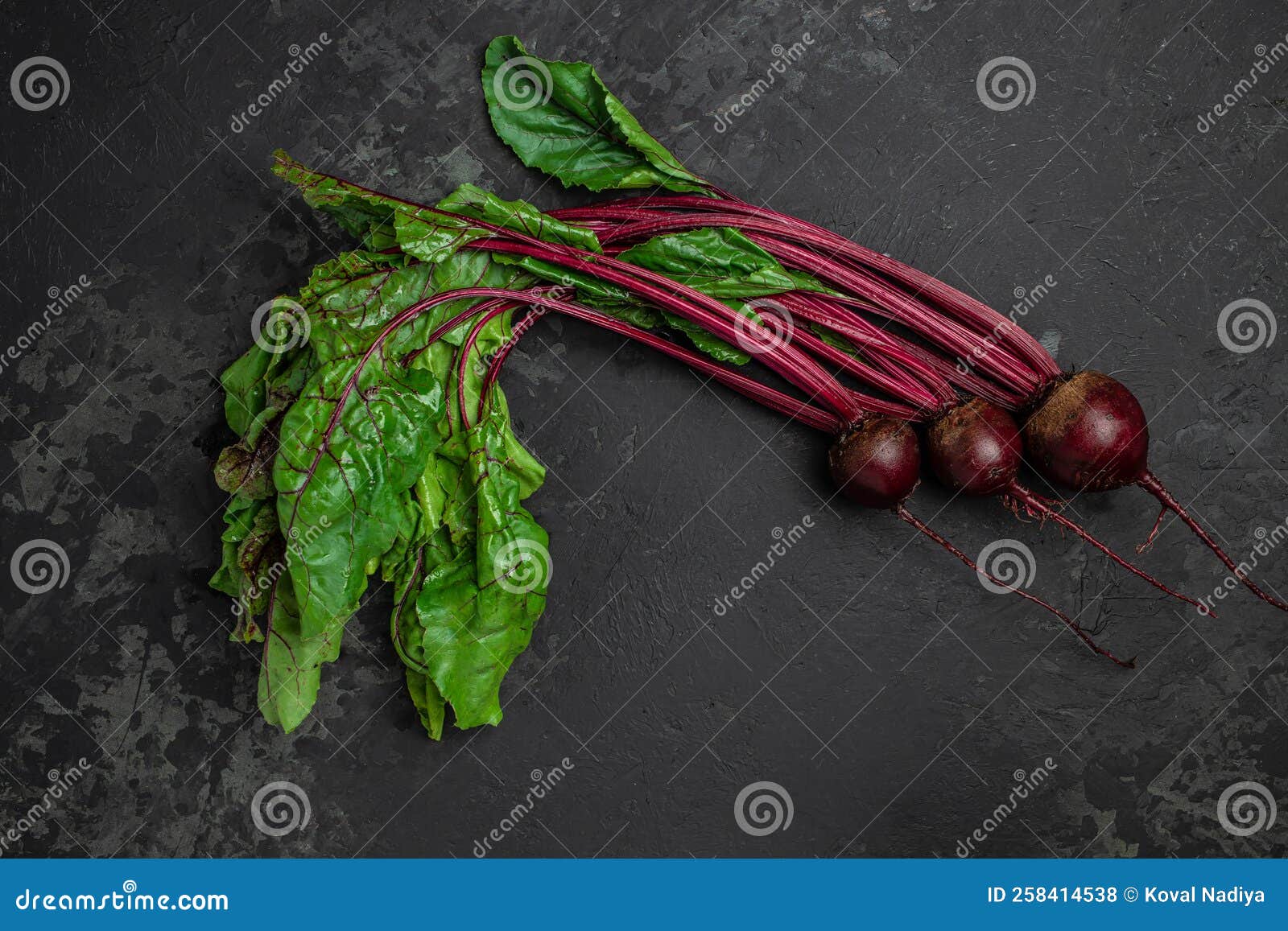 Raw Beetroot with Herbage Leaves on a Dark Background. Banner, Menu ...