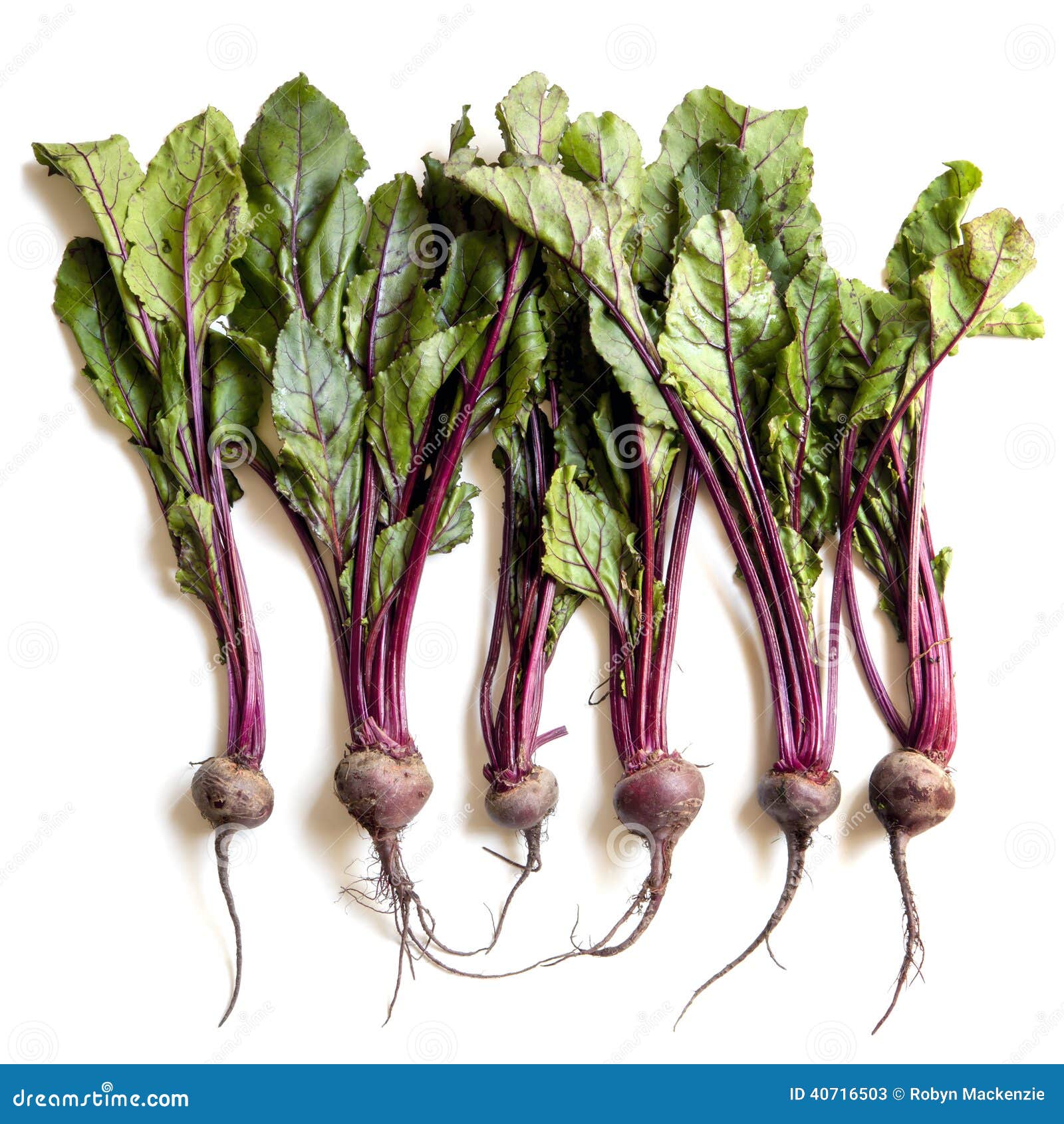 Raw Beetroot Isolated stock image. Image of beetroot - 40716503