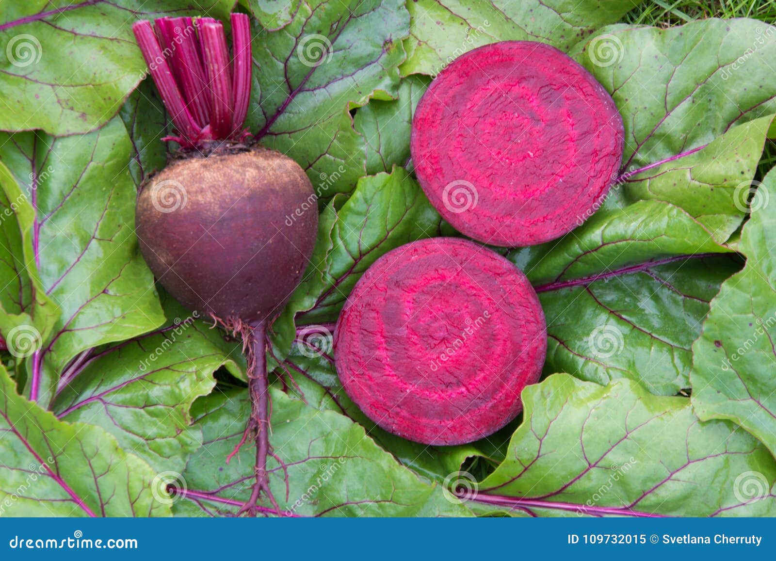 Raw Beetroot Sliced on Leaves. Top View , Copy Space. Stock Image ...