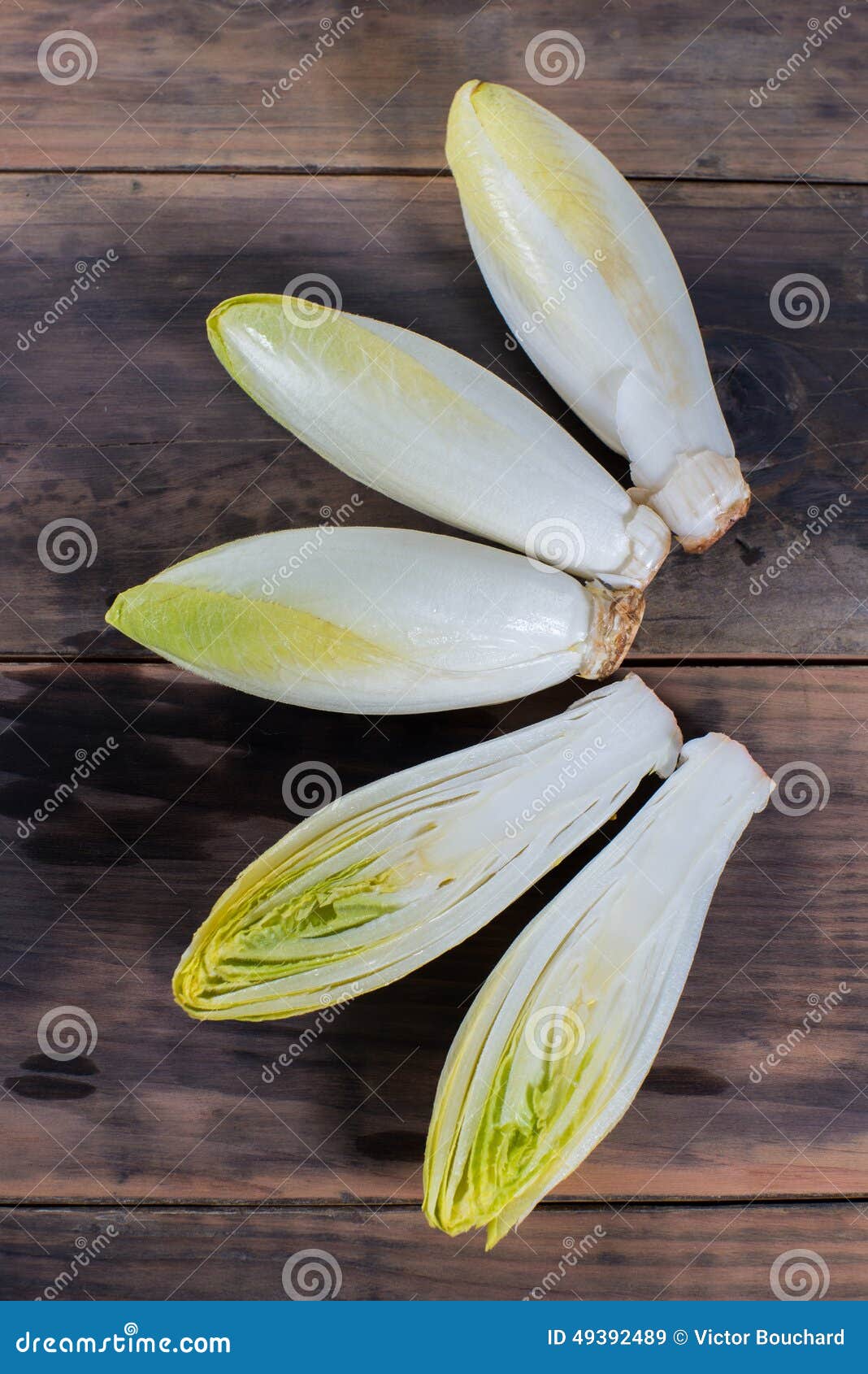 Raw Belgian Endive Bitter Vegetable Stock Image - Image of organic ...
